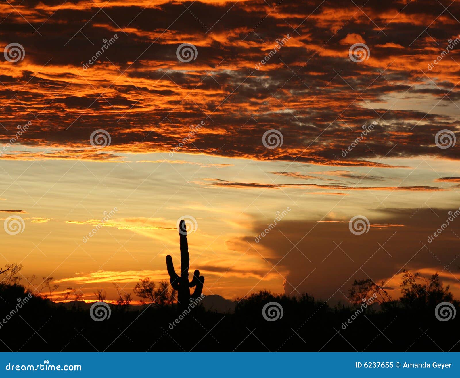 Arizona Sunset Grand Canyon National Park Yavapai Point Stock ...