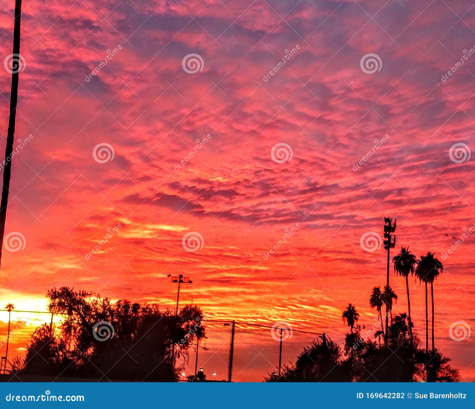 Arizona Sunset January 2020 Orange Stock Photo - Image of 2020, orange ...