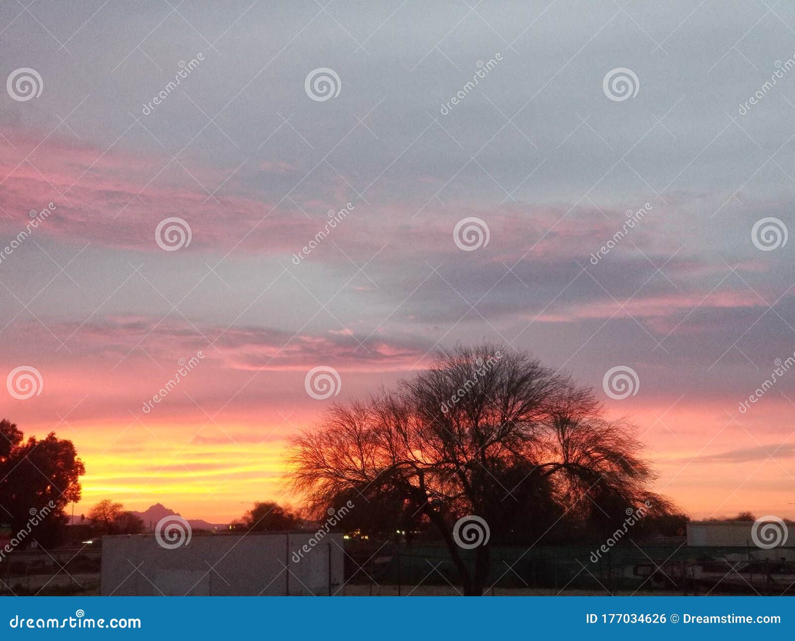 Arizona sunsets Beauty stock photo. Image of sunsets - 177034626