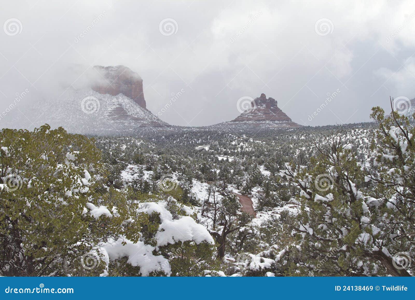 Arizona Winter Landscape stock image. Image of winter - 24138469