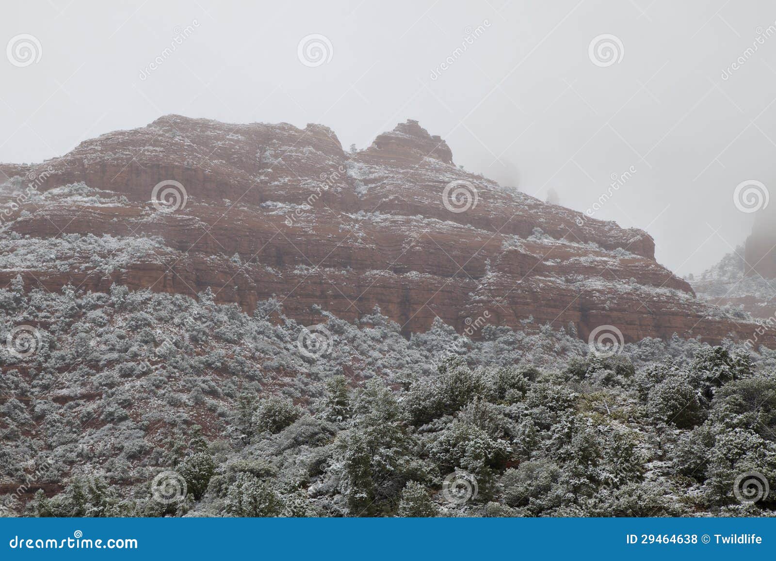 Arizona Winter Landscape stock photo. Image of desert - 29464638