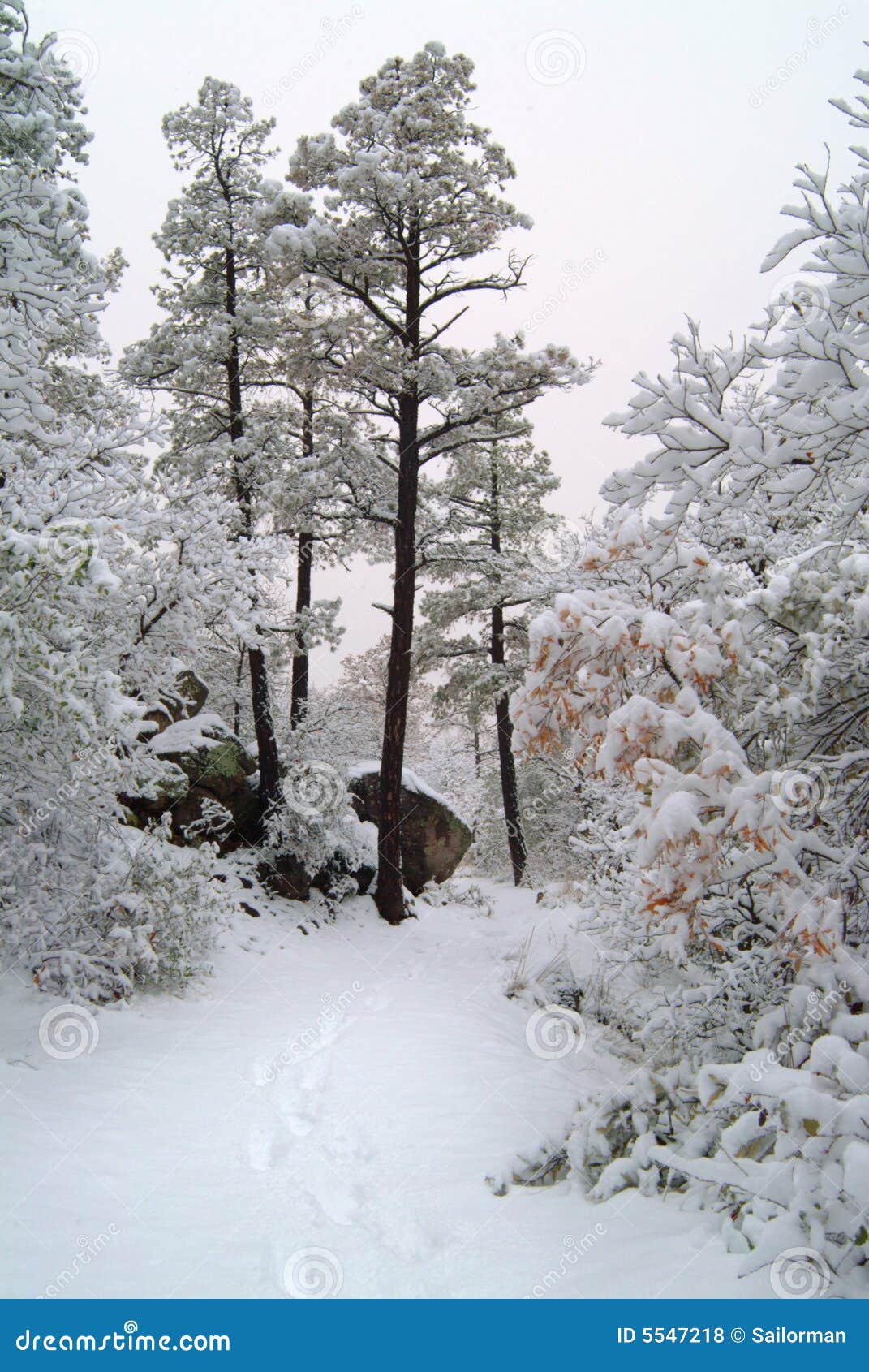 787 Arizona Winter Scene Stock Photos - Free & Royalty-Free Stock ...