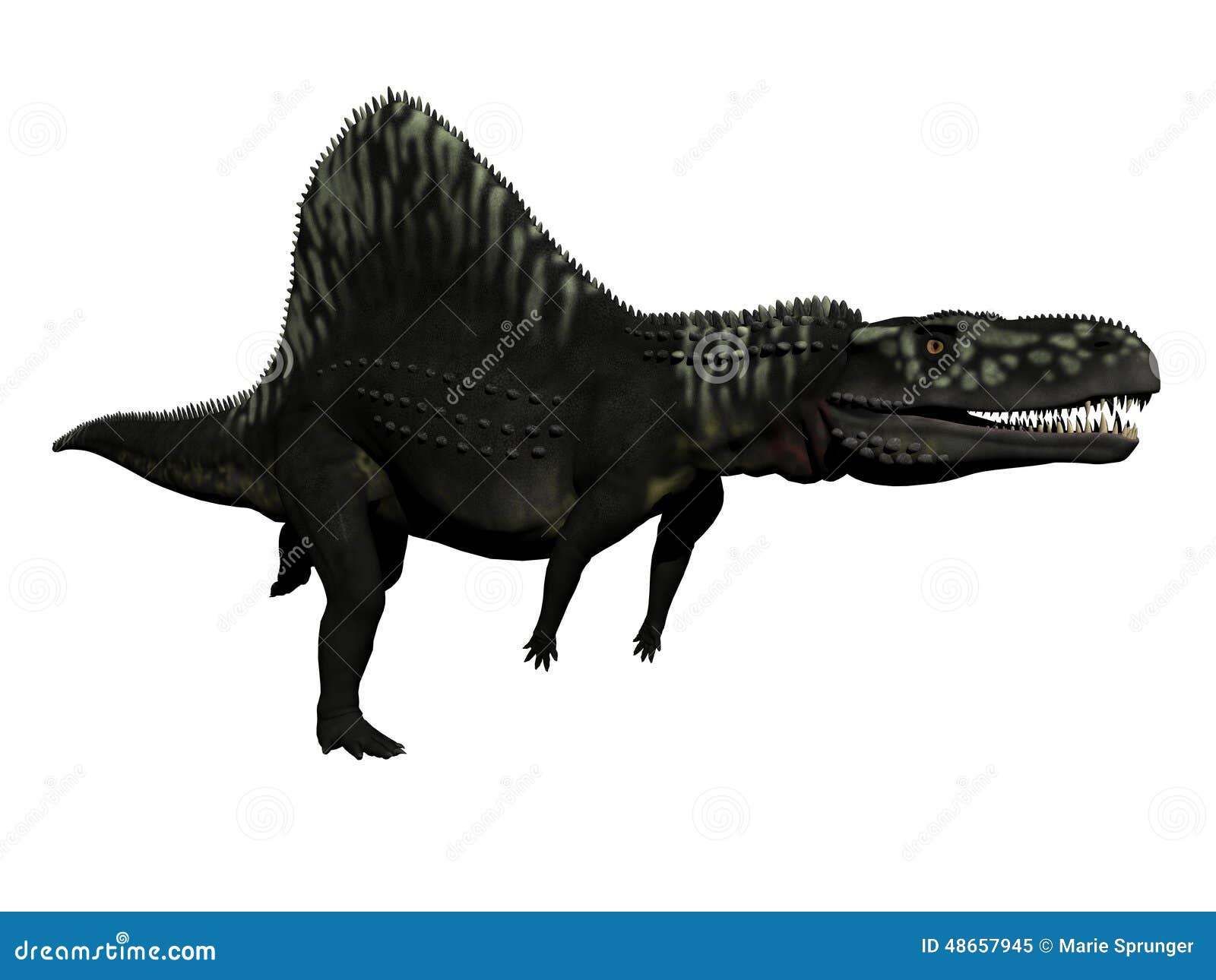 Arizonasaurus Dinosaur Head Stock Image | CartoonDealer.com #69046837