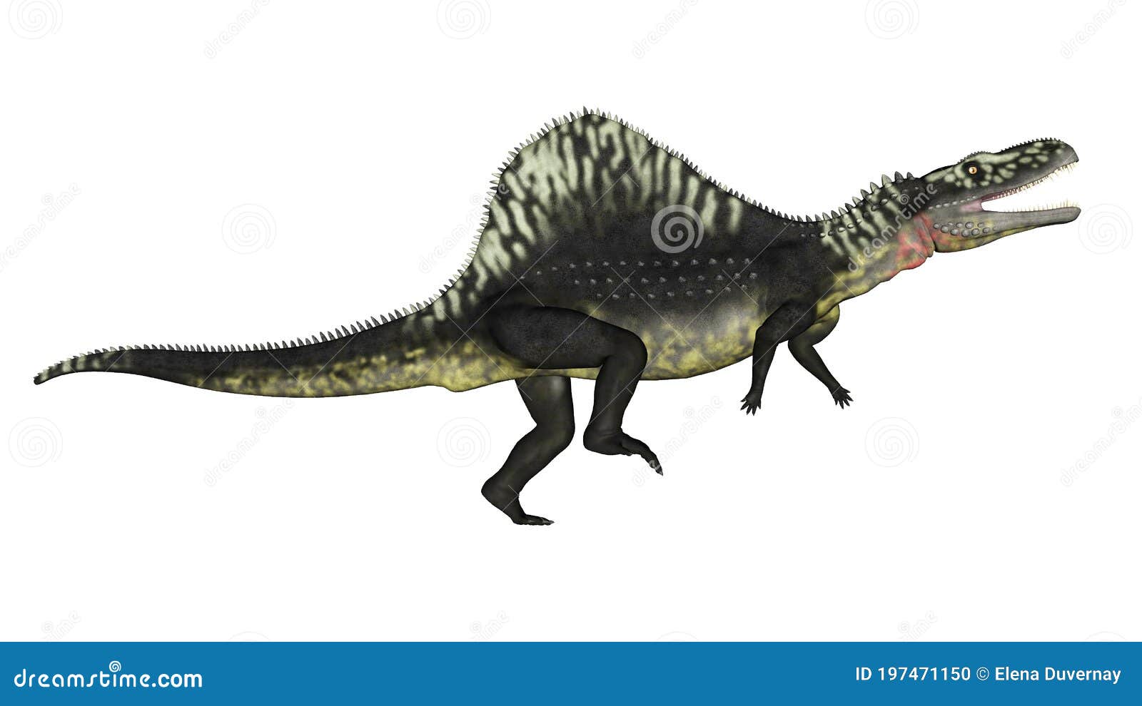 Arizonasaurus Dinosaur Roaring - 3D Render Stock Illustration ...