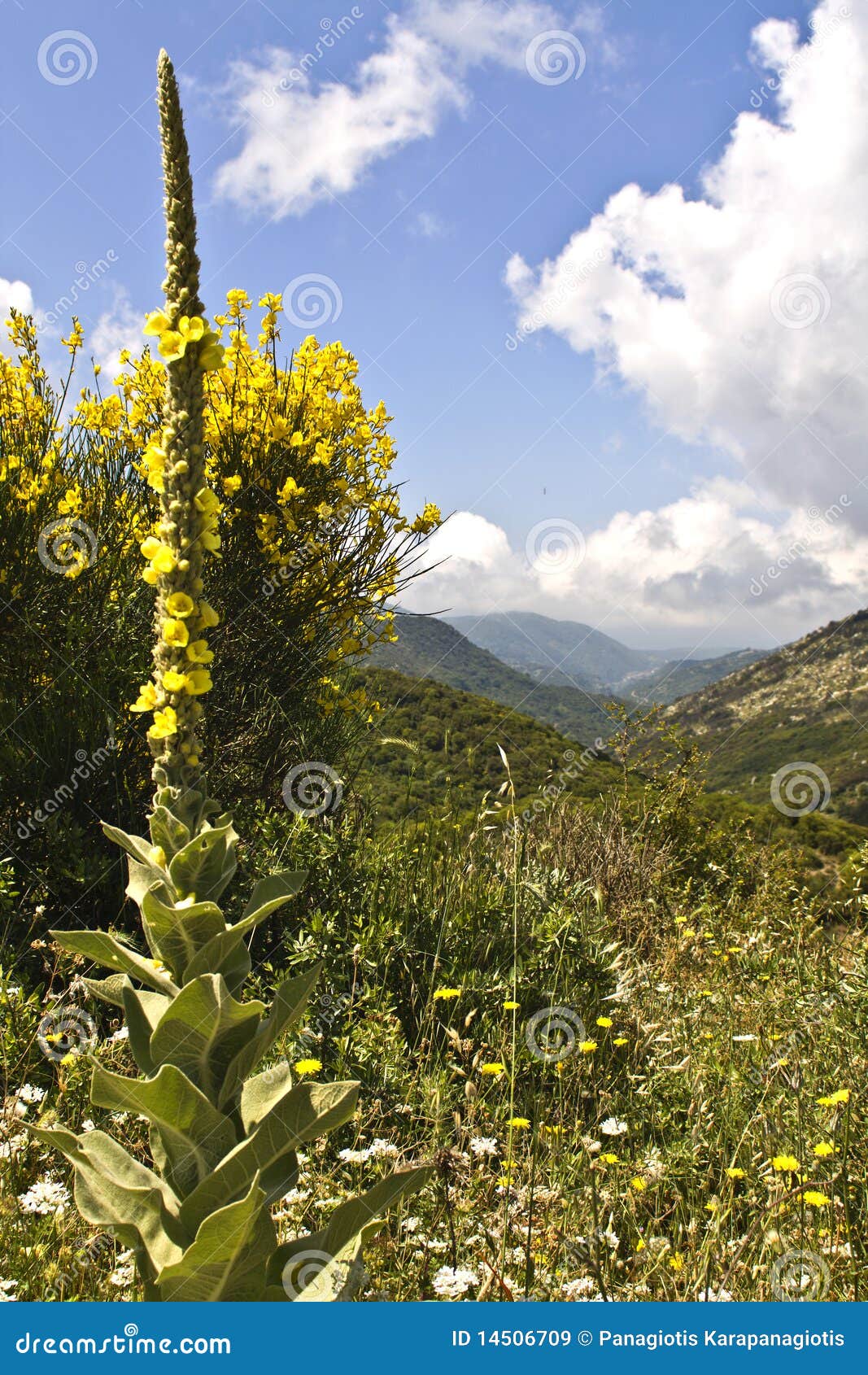 Arkadian Landscape at Greece Stock Image - Image of fields, arcadian ...