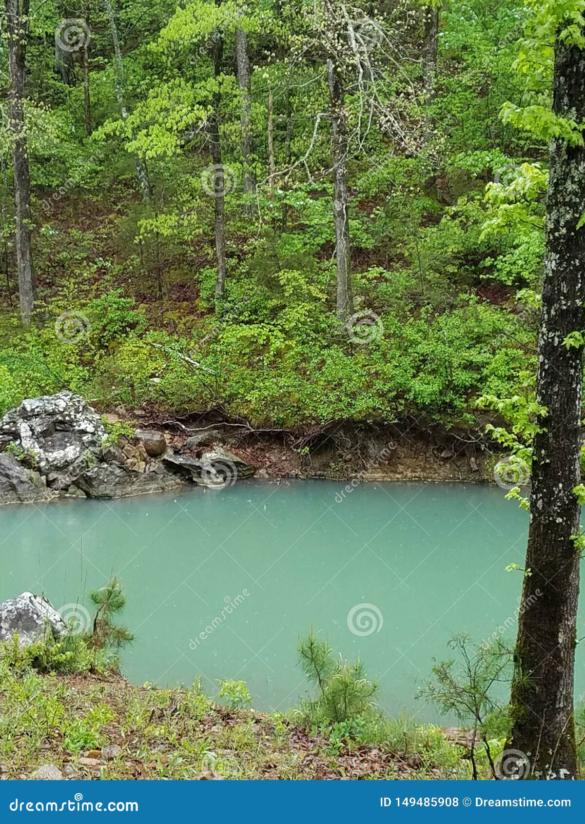 Arkansas water stock photo. Image of creek, green, nature - 149485908