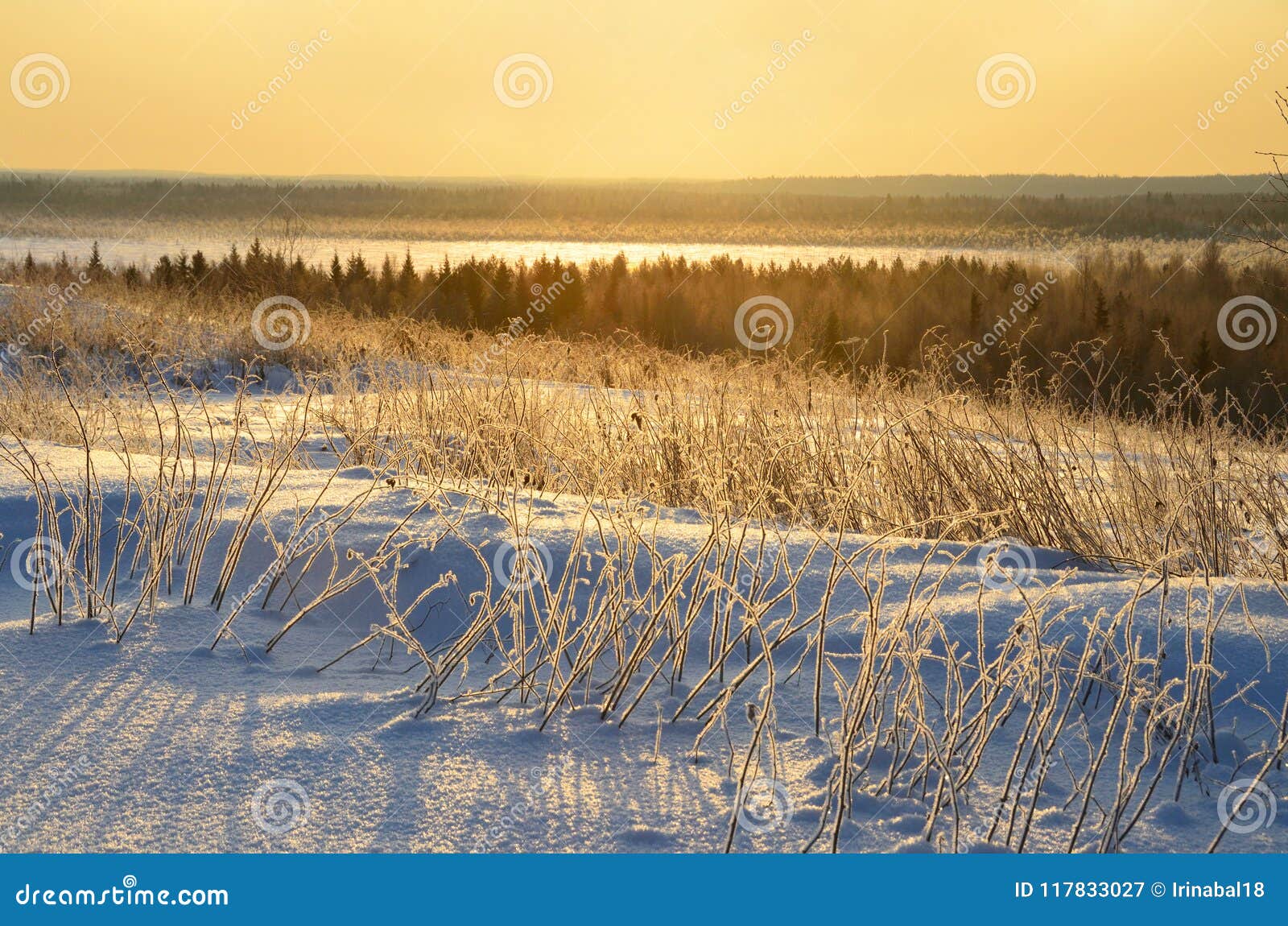 Arkhangelsk Region, Plesetsky District, Onega River in Cloudy Day with ...
