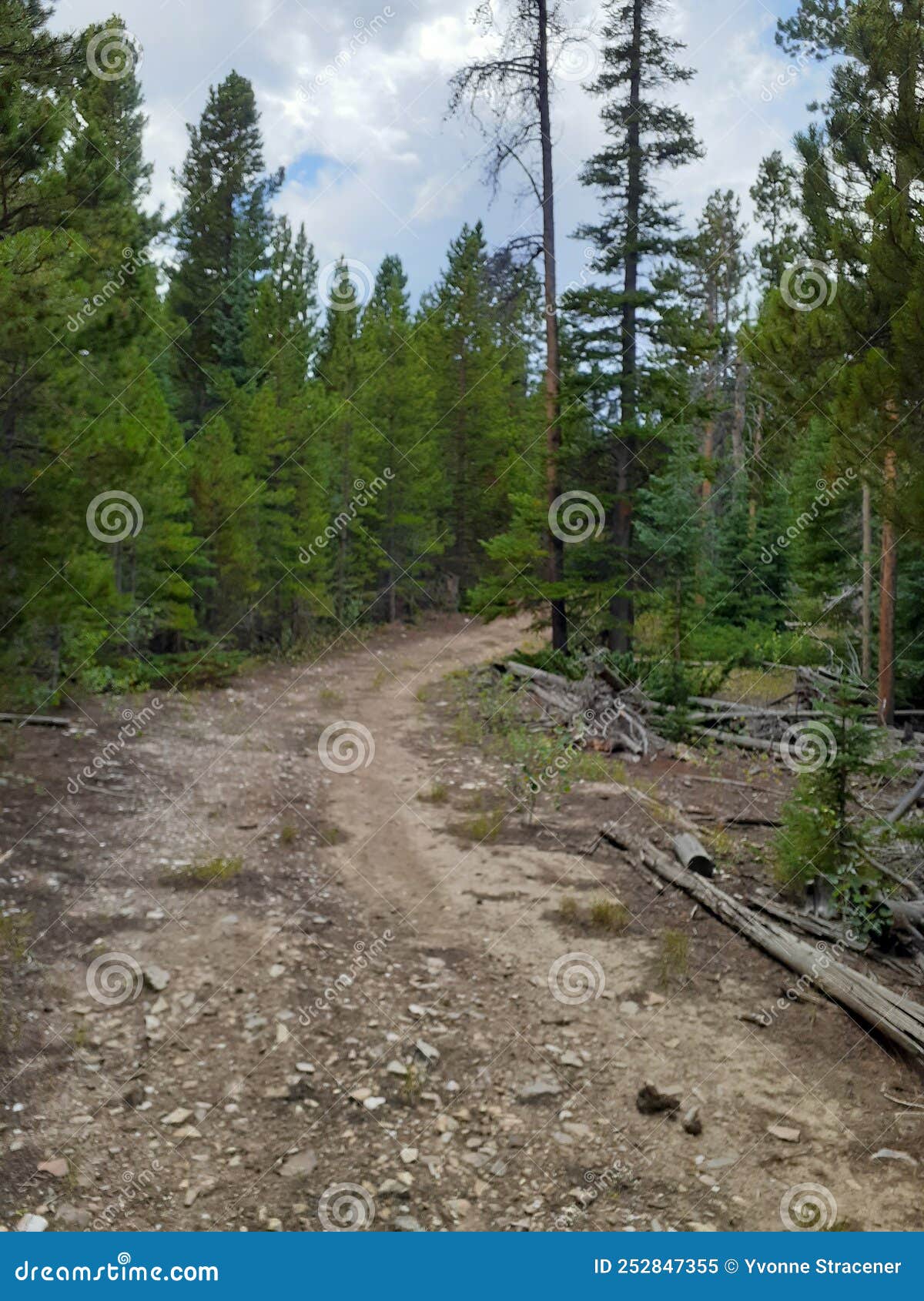 Arlington Wyoming Logging Trail Stock Image - Image of grass, rock ...