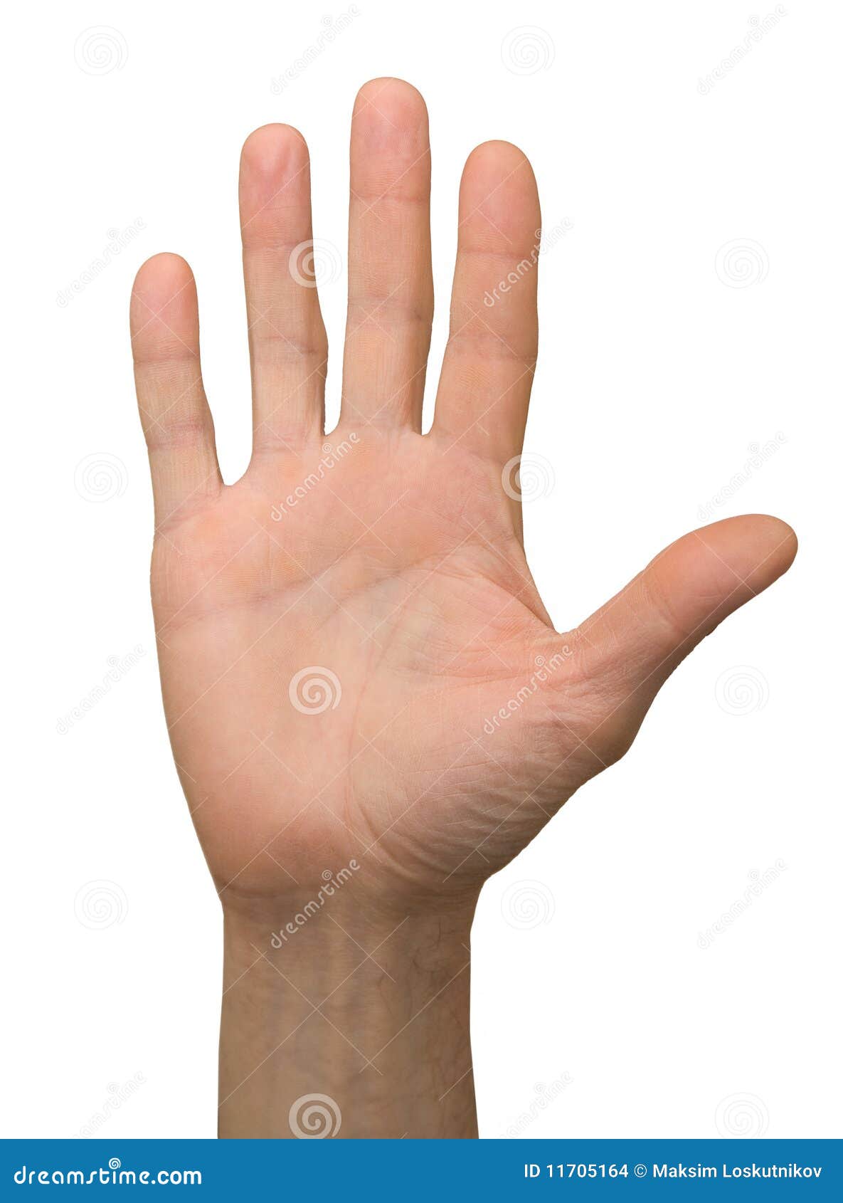 Arm stock photo. Image of hand, palm, danger, count, counting - 11705164