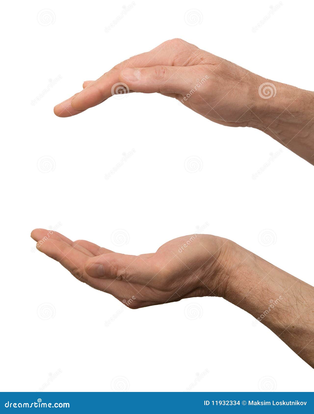 Arm stock photo. Image of love, hold, business, human - 11932334