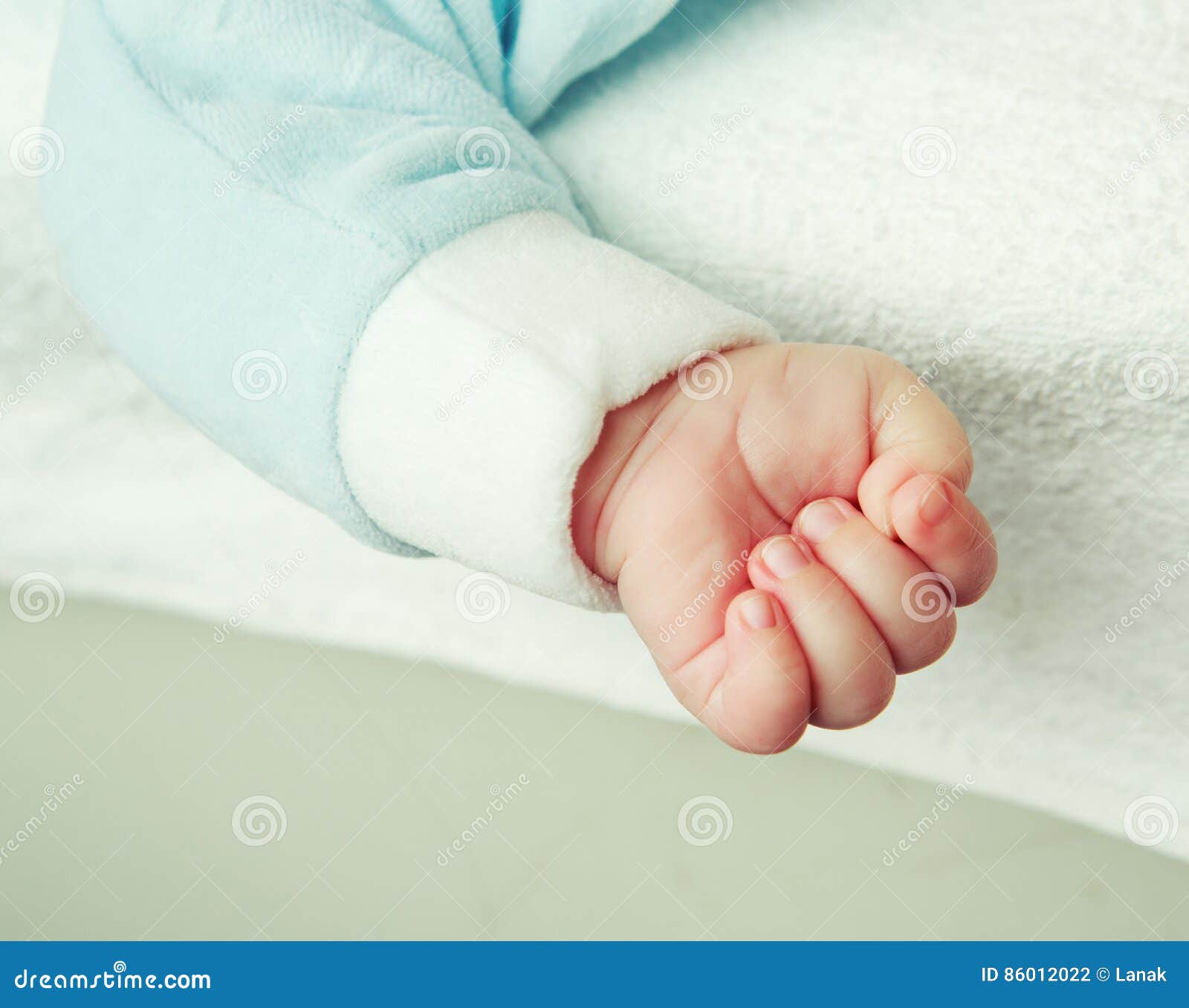 Arm of a baby stock photo. Image of caucasian, infant - 86012022