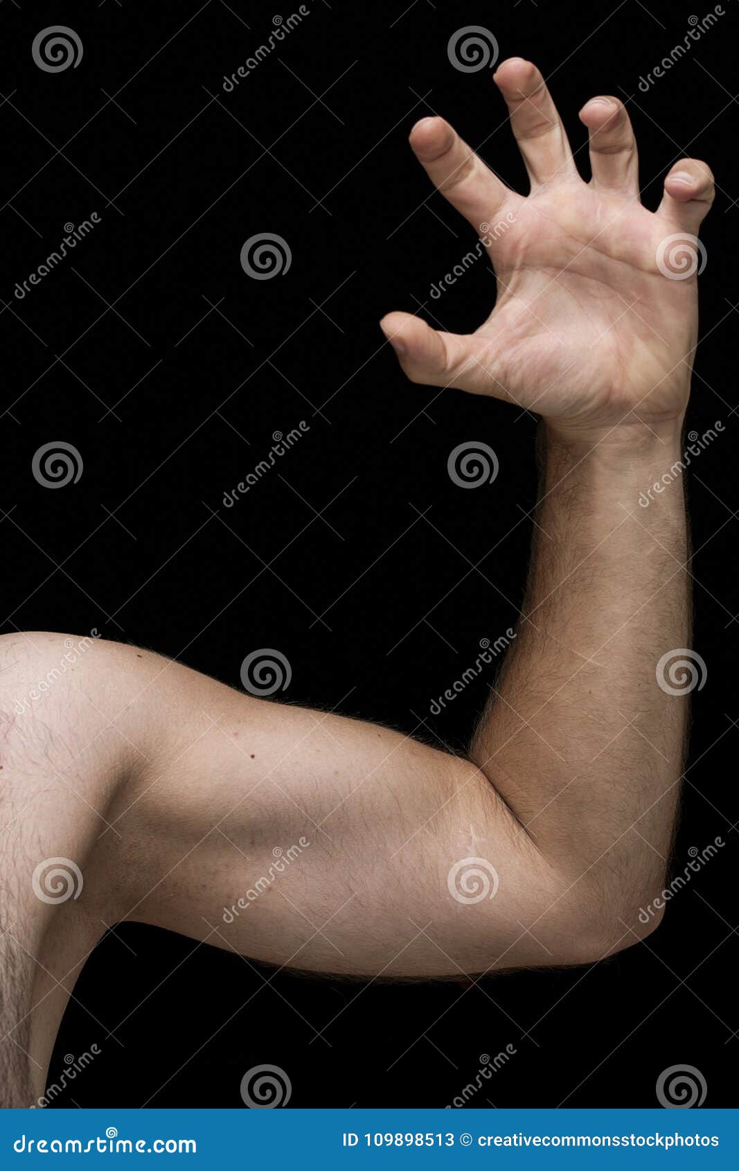 Arm, Biceps, Fingers Picture. Image: 109898513