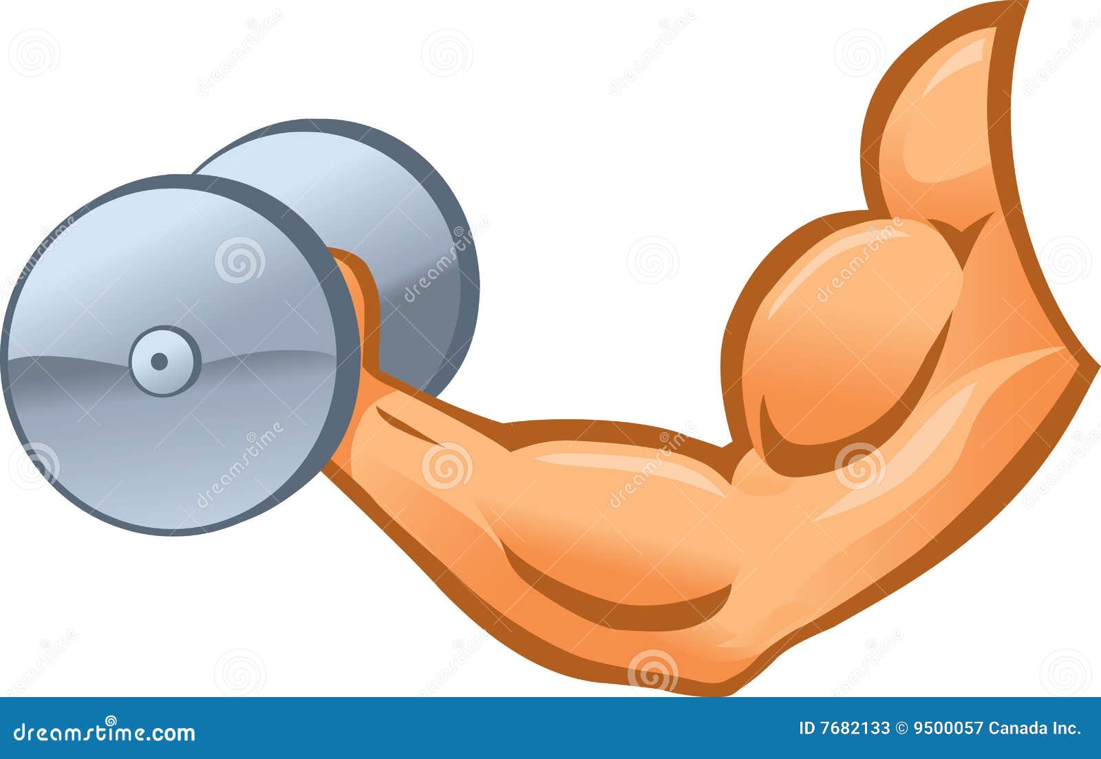 Arm curl stock vector. Illustration of muscle, strength - 7682133