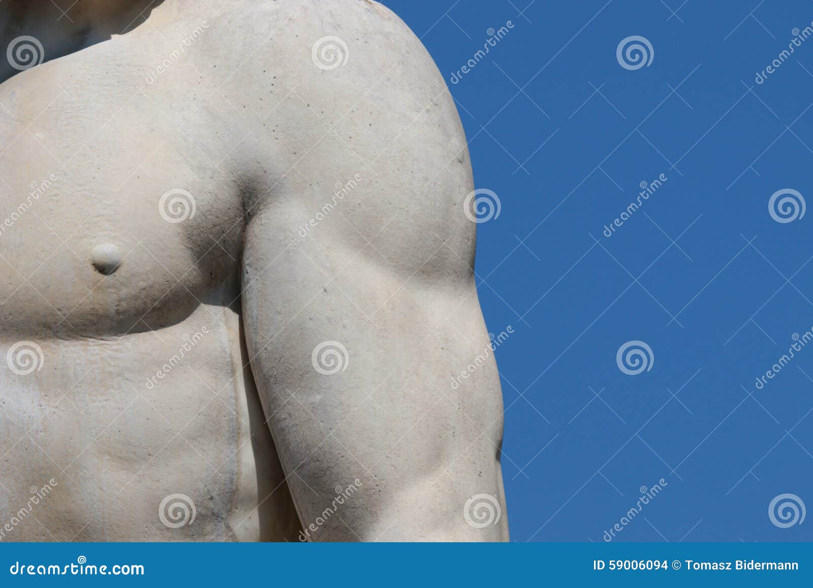 Arm stock photo. Image of statue, anatomy, torso, thorax - 59006094