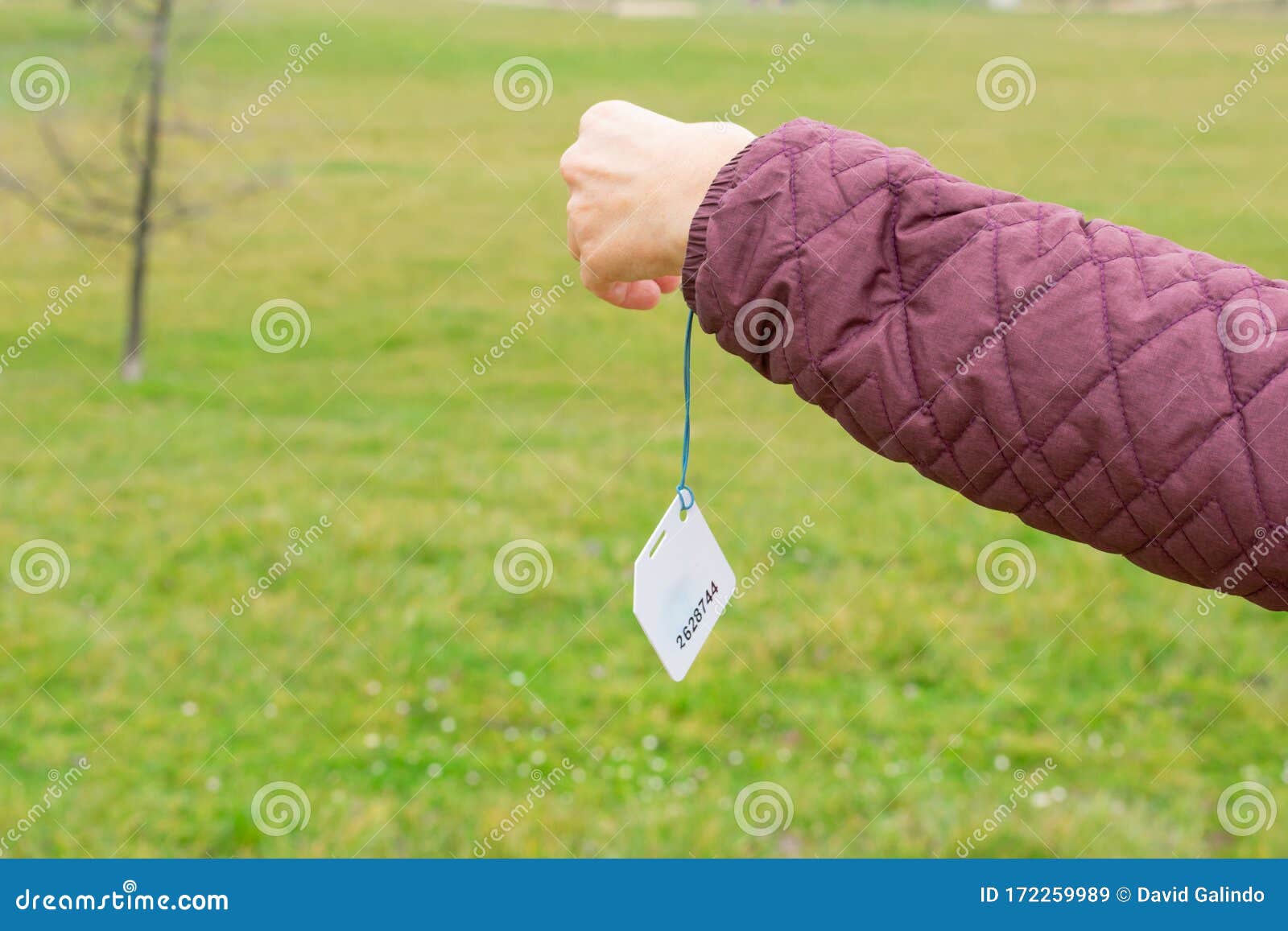 Arm and Hand with Checker for Orientation Race Stock Image - Image of ...