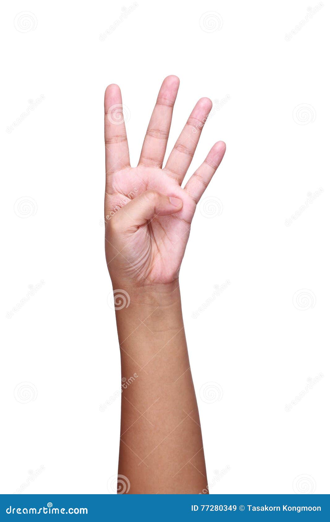Arm,hand and Fingers Showing Number Four Isolated on White Stock Image ...