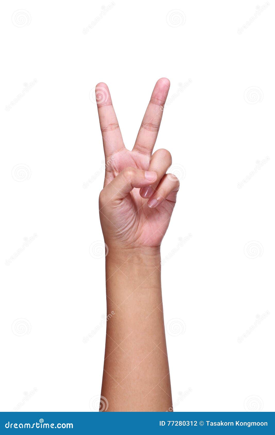 Arm, Hand and Fingers Showing Number Two Isolated on White Stock Photo ...