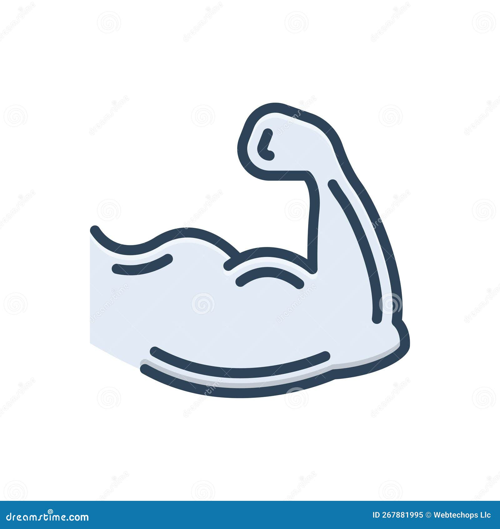 Upper Limb Anatomy Vector Illustration | CartoonDealer.com #275053864