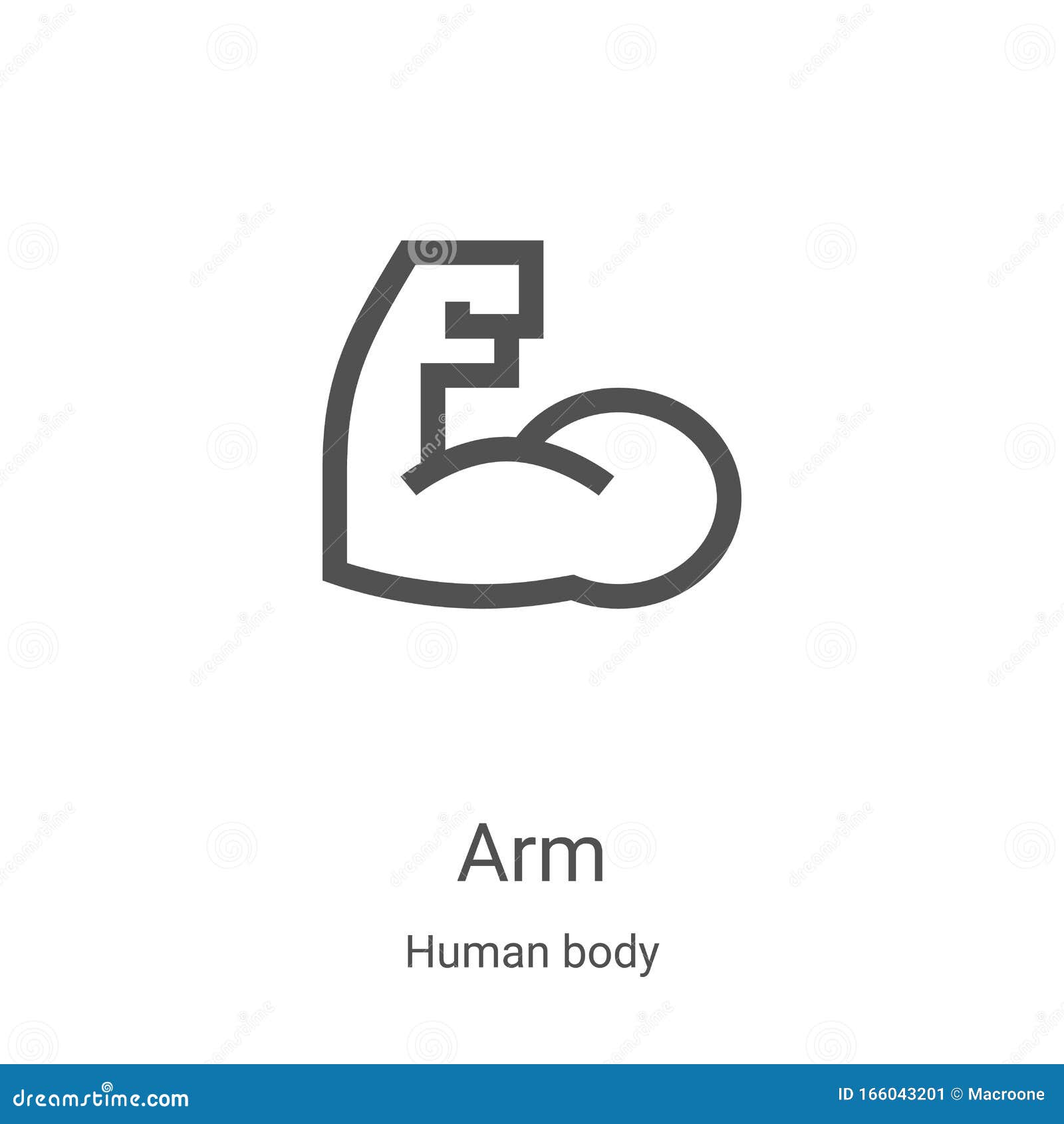 Arm Icon Vector from Human Body Collection. Thin Line Arm Outline Icon ...