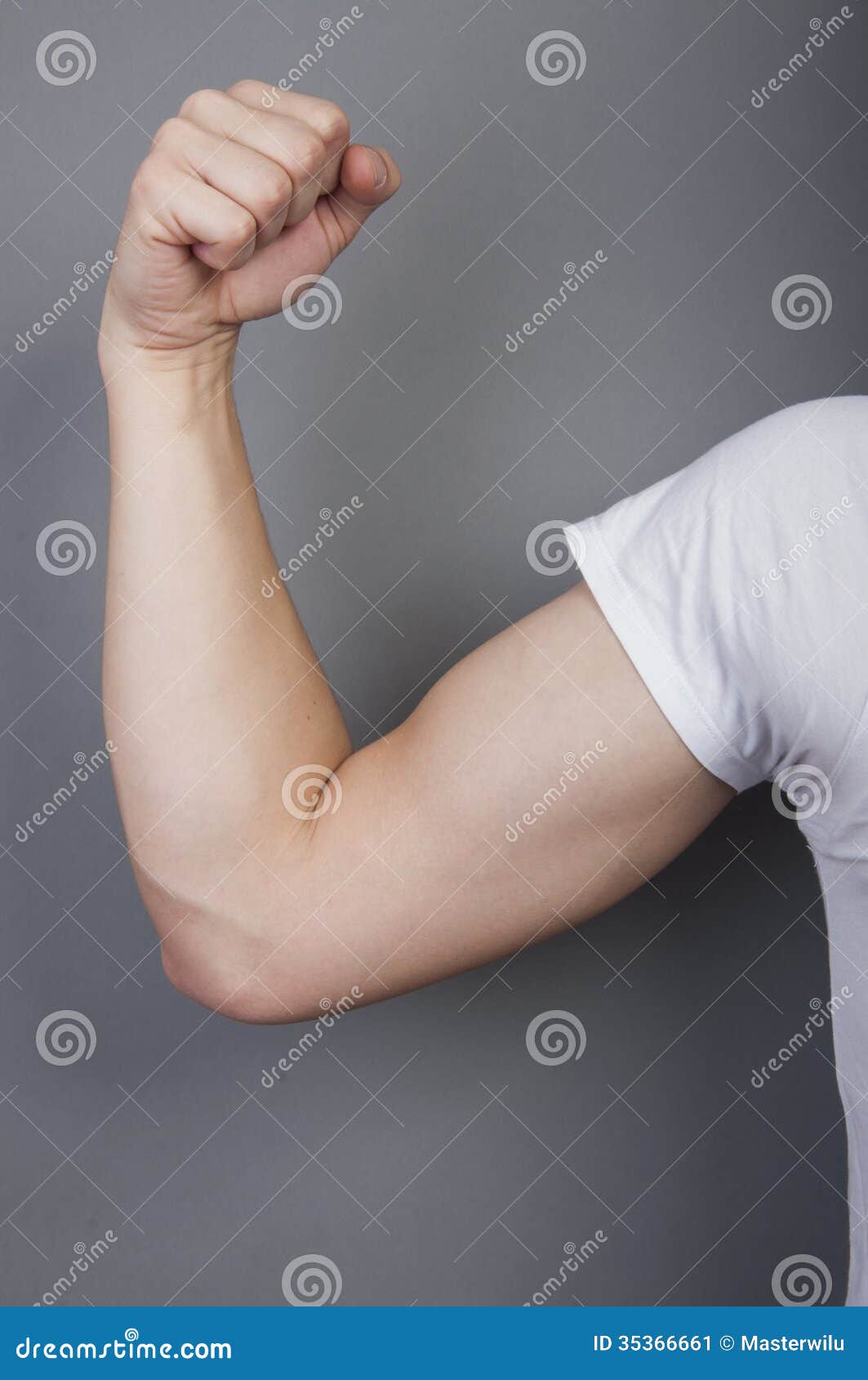 Arm with muscle stock image. Image of handsome, isolated - 35366661