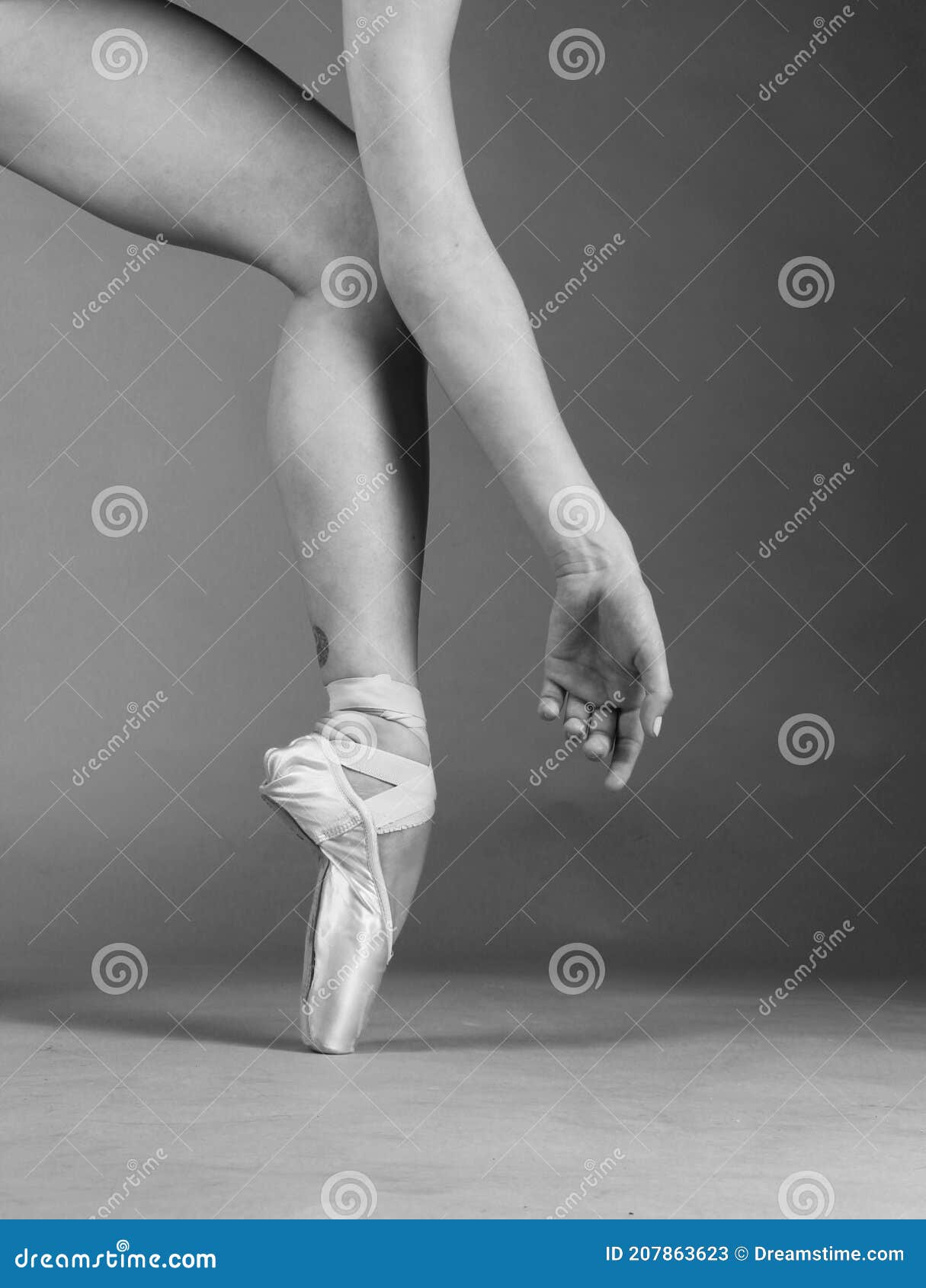 Ballet foot 4 stock image. Image of ballet, foot, shoe - 207863623