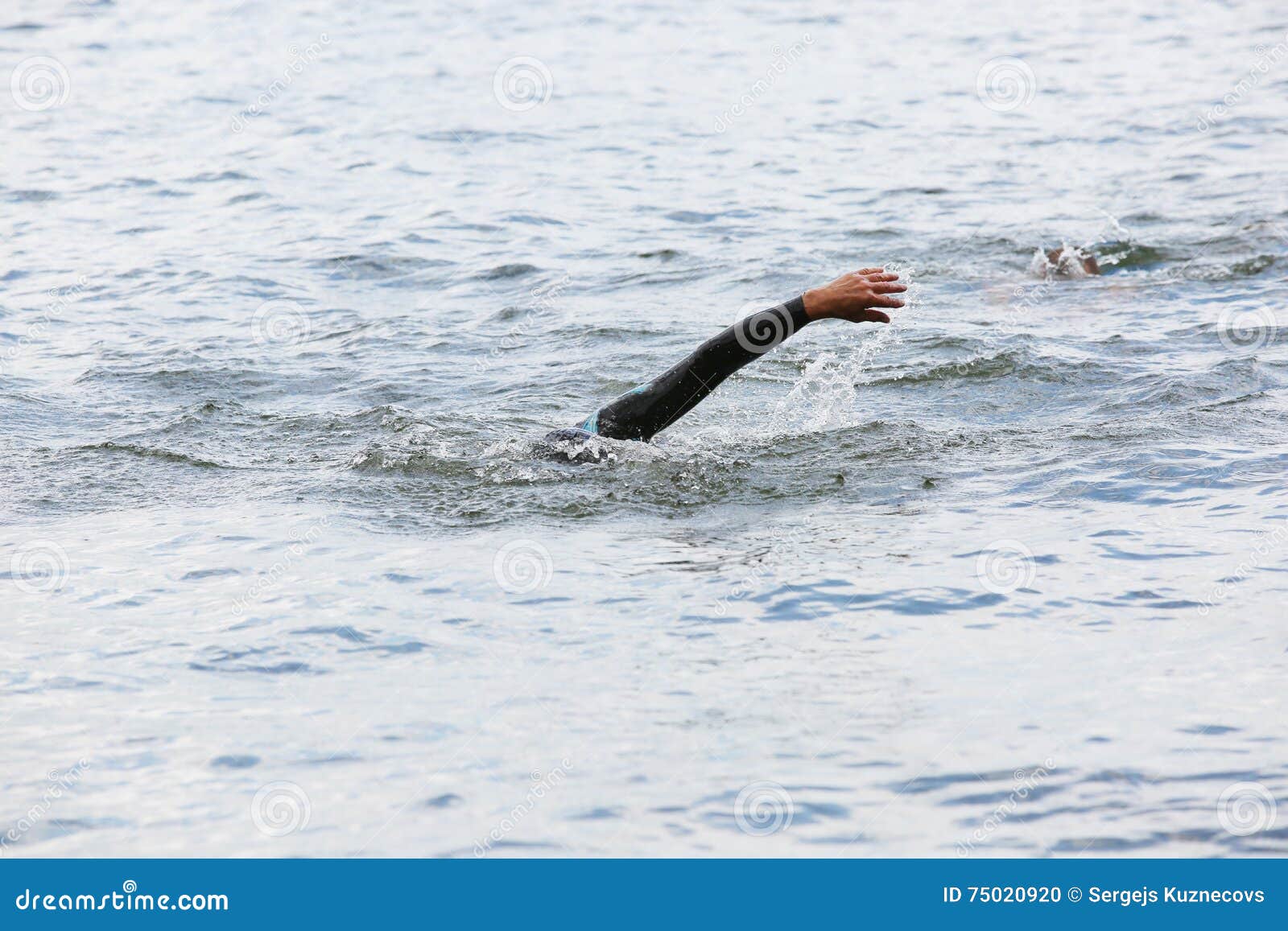 The Arm of Swimming Athlete Stock Photo - Image of summer, swimmer ...