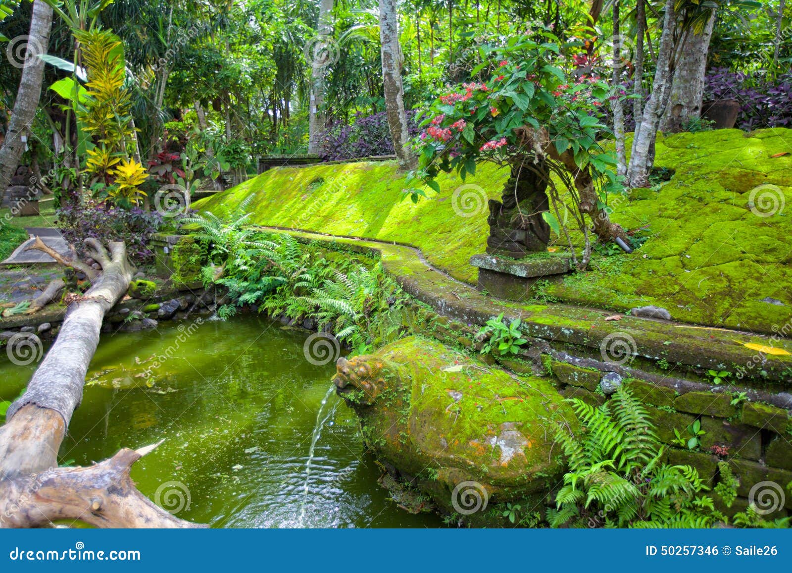 Arma resort stock photo. Image of water, bali, ubud, palm - 50257346