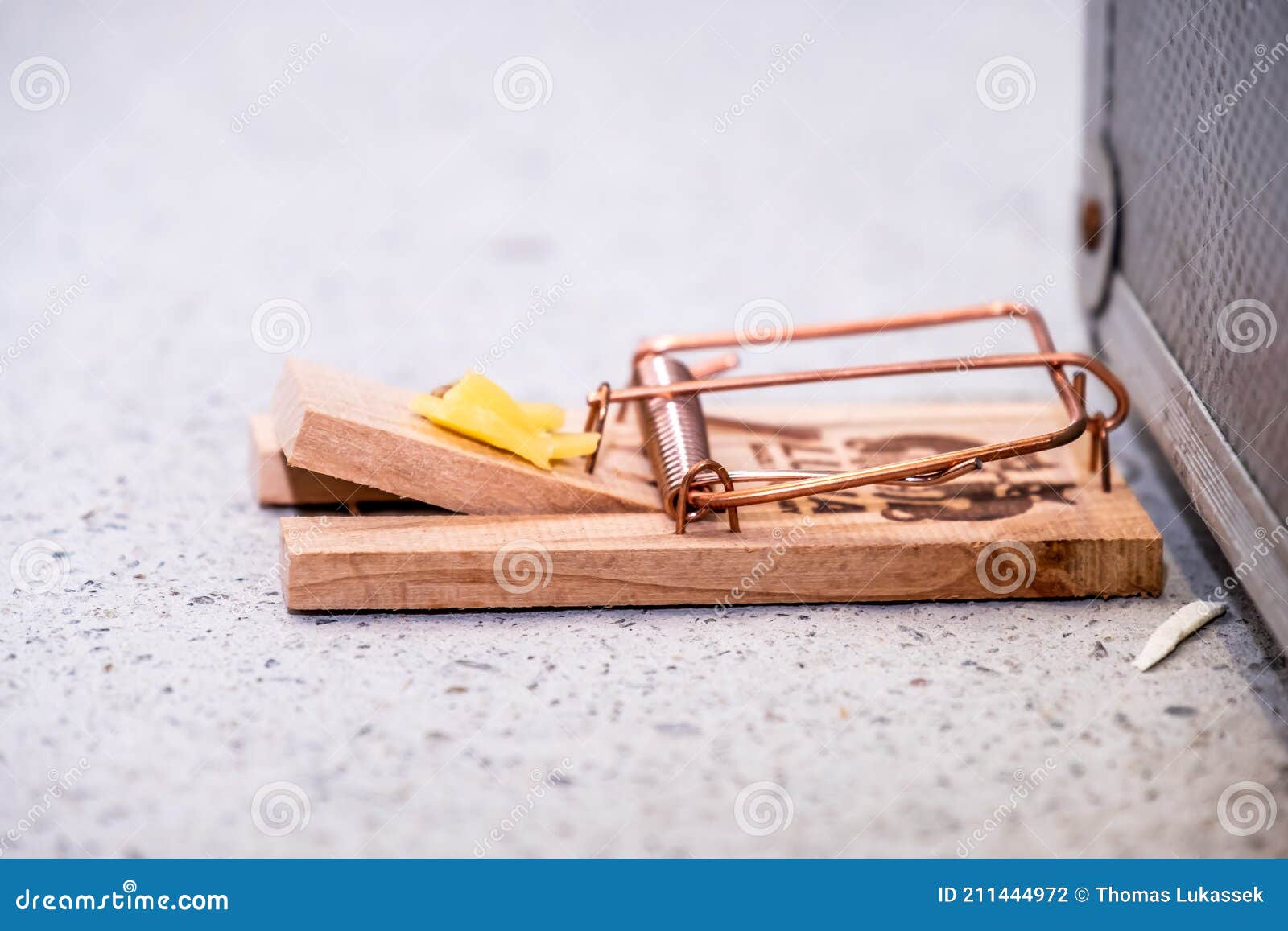 Armadilha Pronta Para O Rato Com Queijo Foto de Stock - Imagem de rato ...