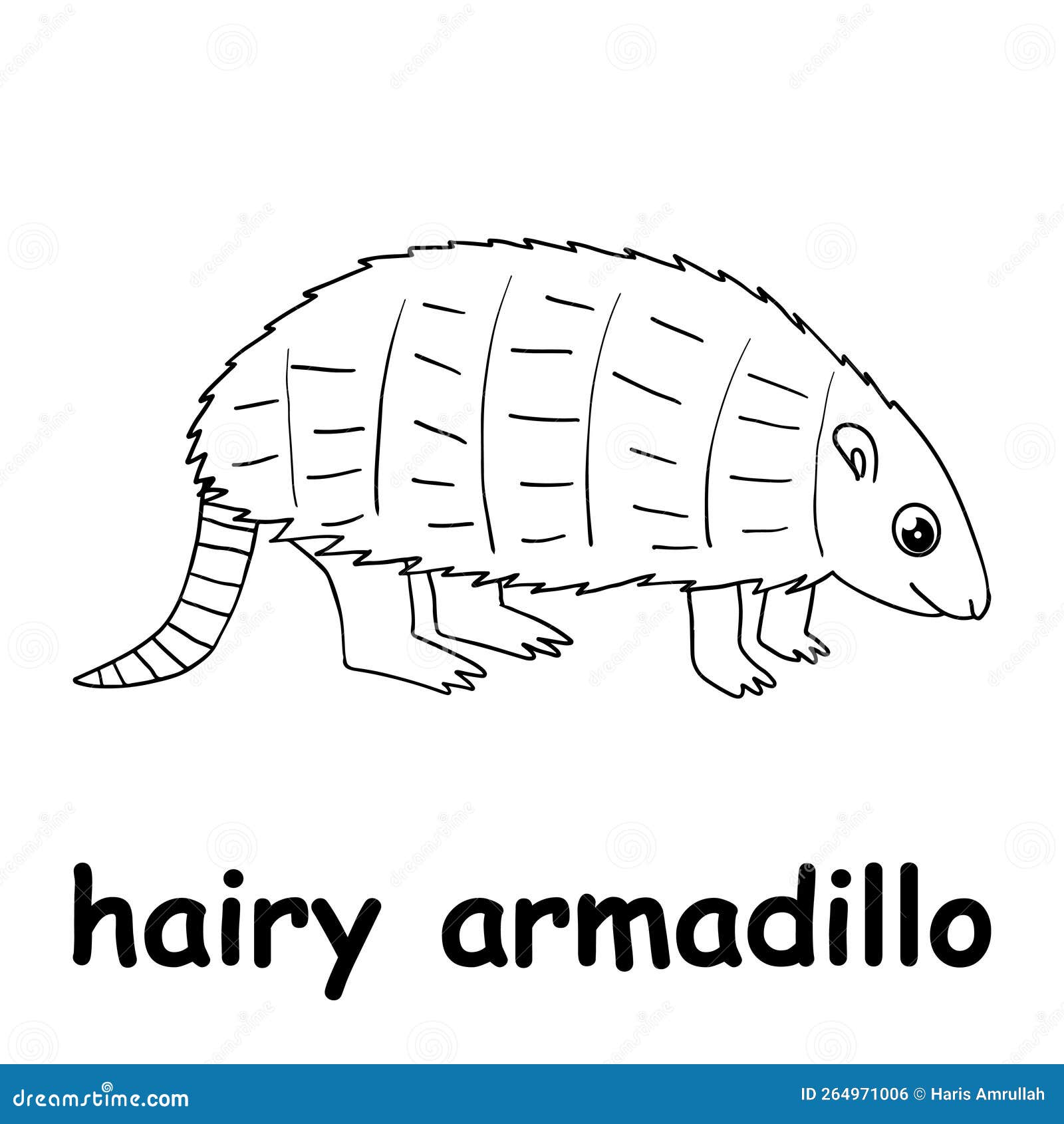 Kids Line Illustration Coloring Hairy Armadillo. Outline Vector for ...