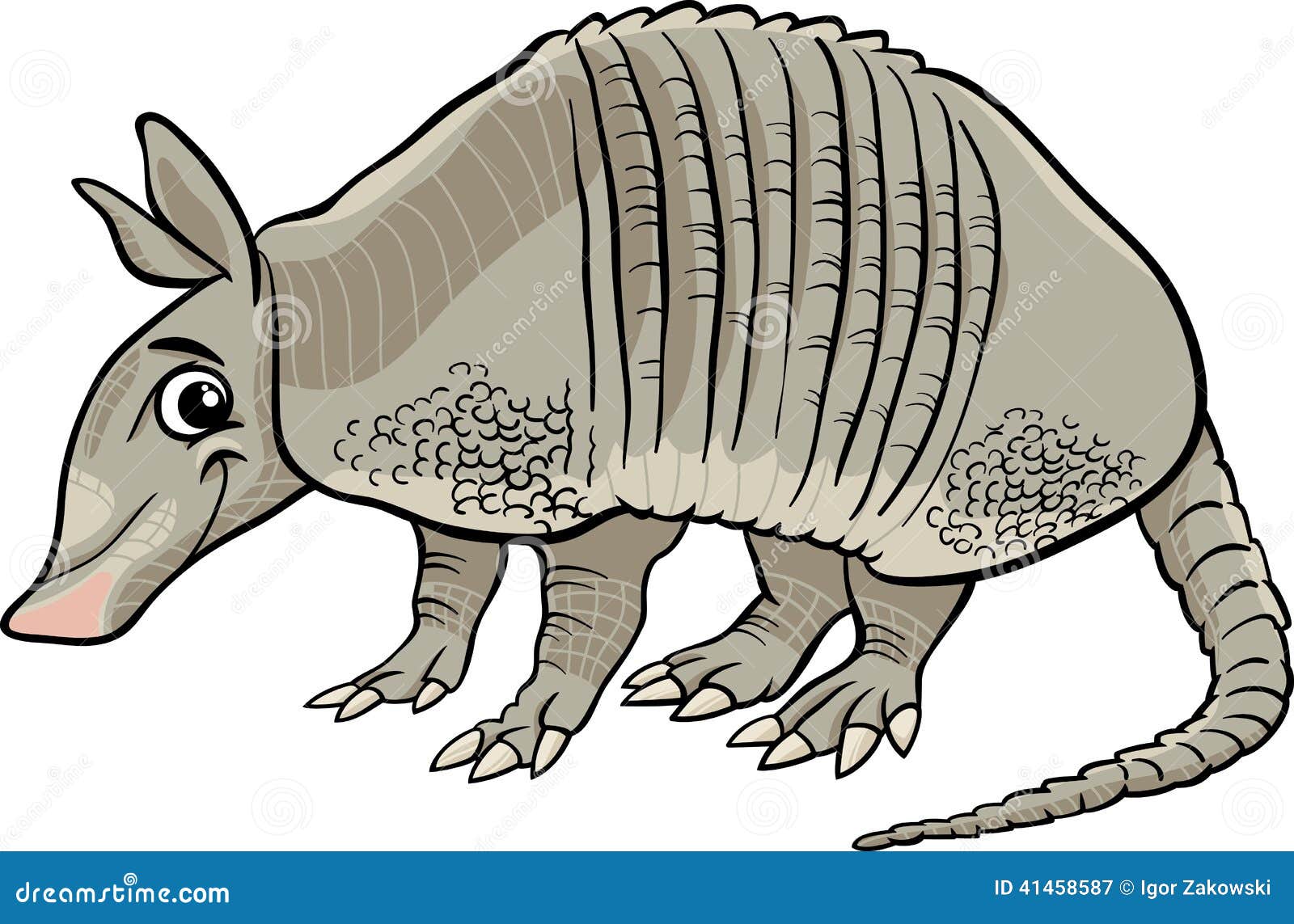 Armadillo Animal Cartoon Illustration Stock Vector - Illustration of ...