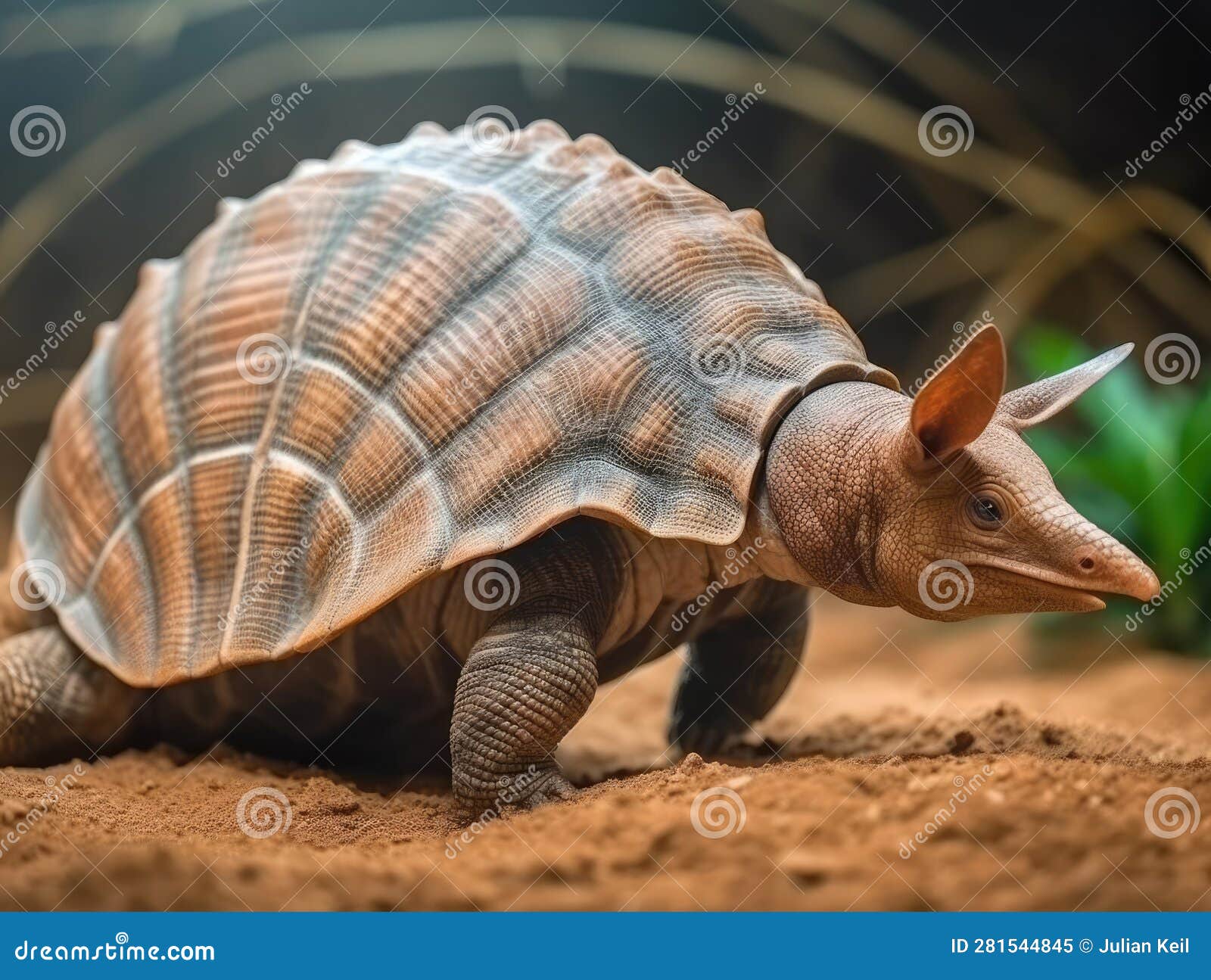 Armadillo Dig for Sustainable Solution Stock Illustration ...