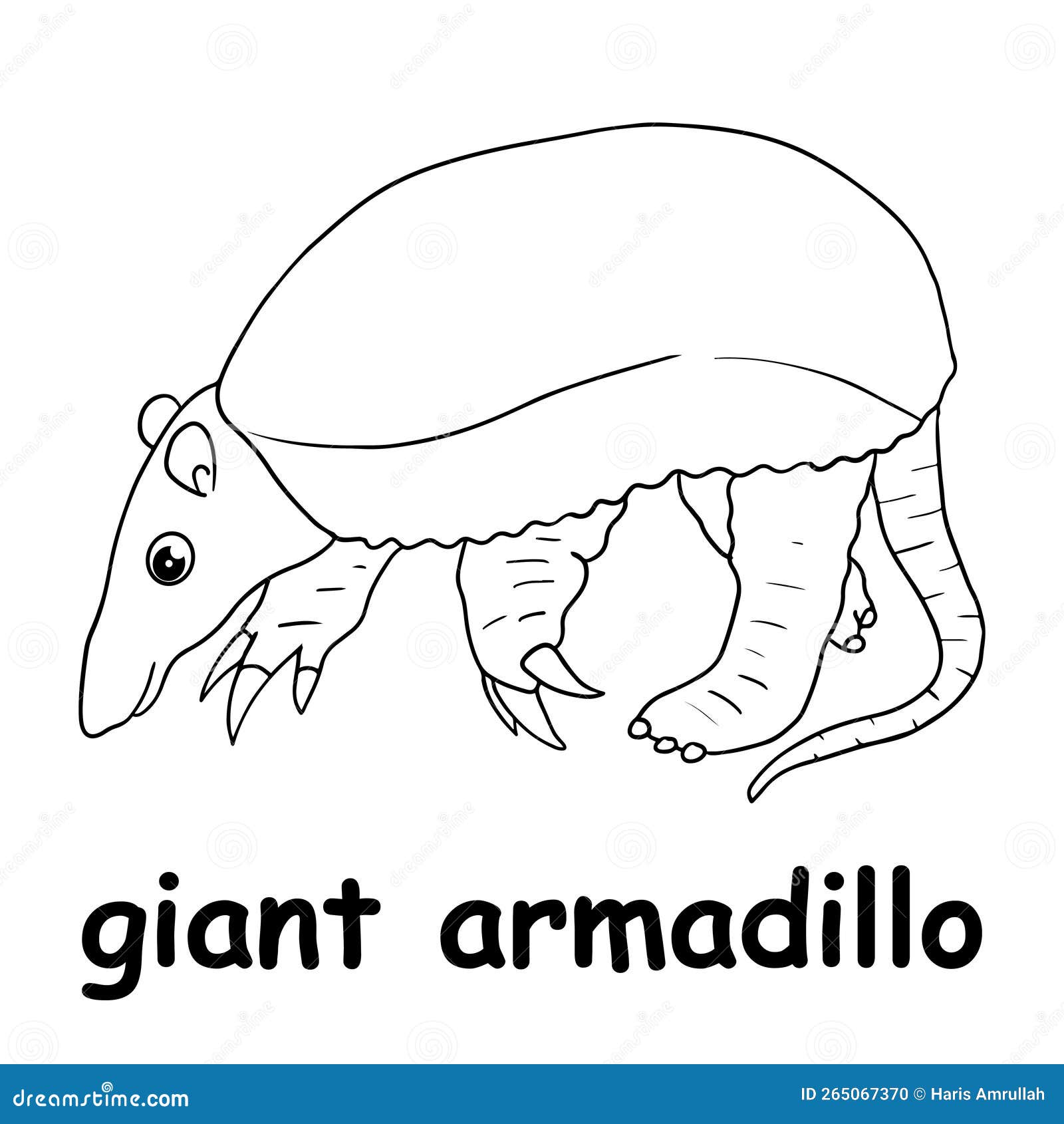 Kids Line Illustration Coloring Giant Armadillo. Outline Vector for ...