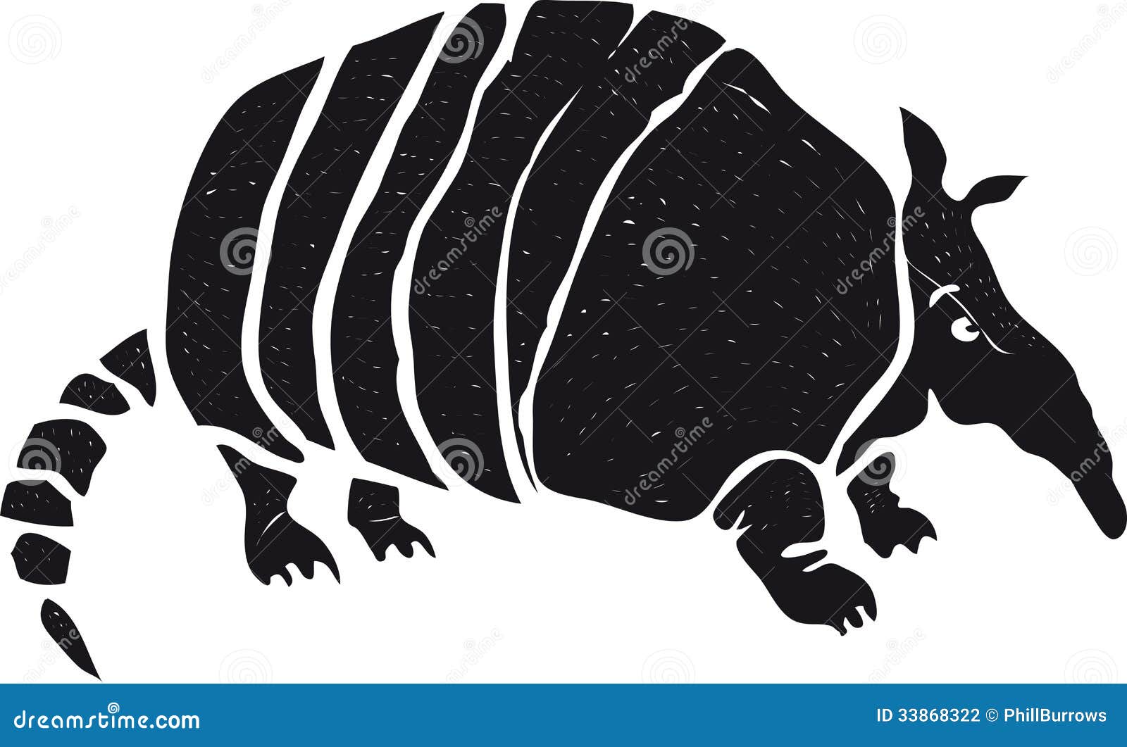 Armadillo Ball Drawing