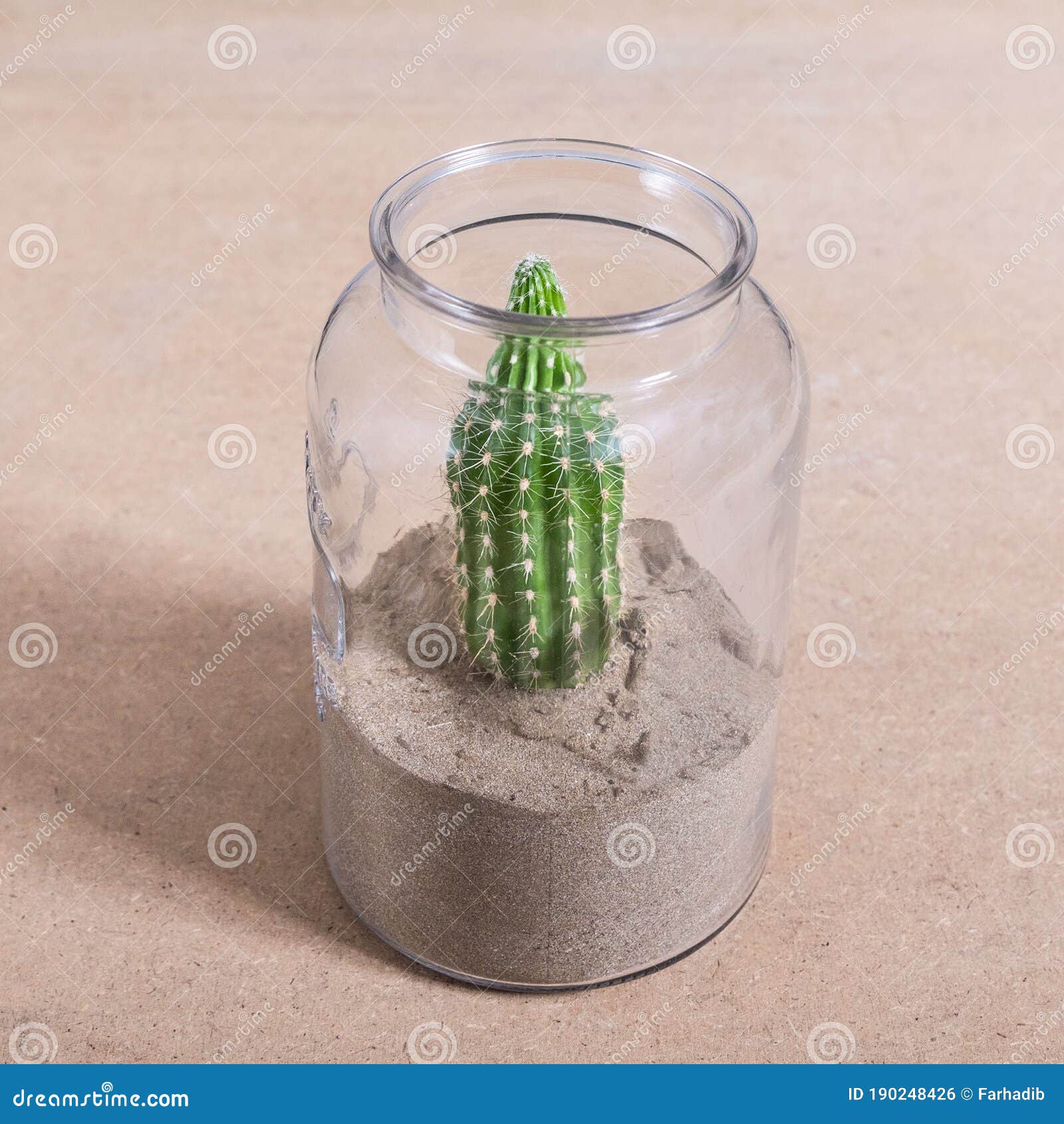 Armatocereus Godingianus Con Cactus Foto de archivo - Imagen de casero ...