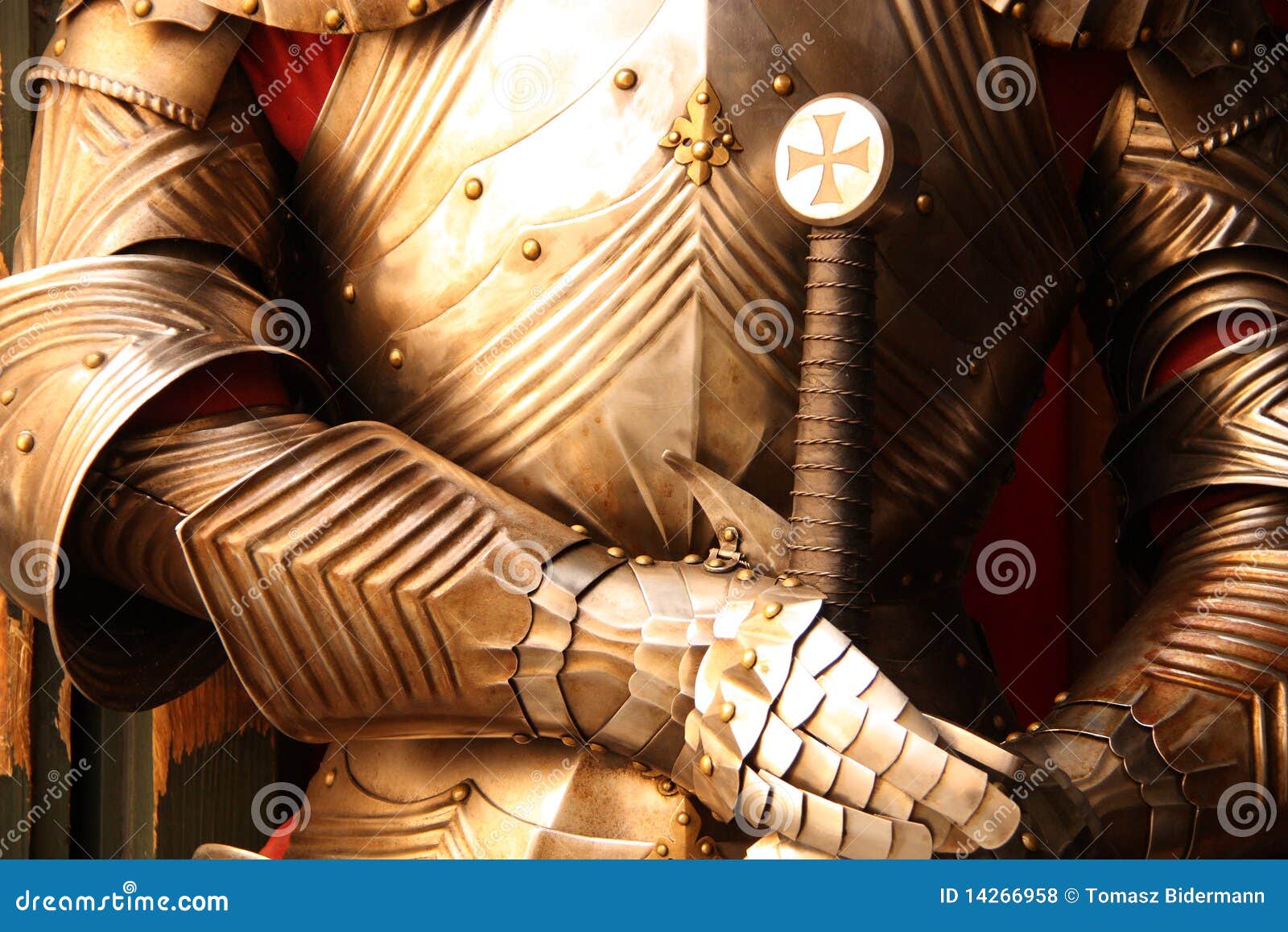 100,938 Armor Stock Photos - Free & Royalty-Free Stock Photos from ...