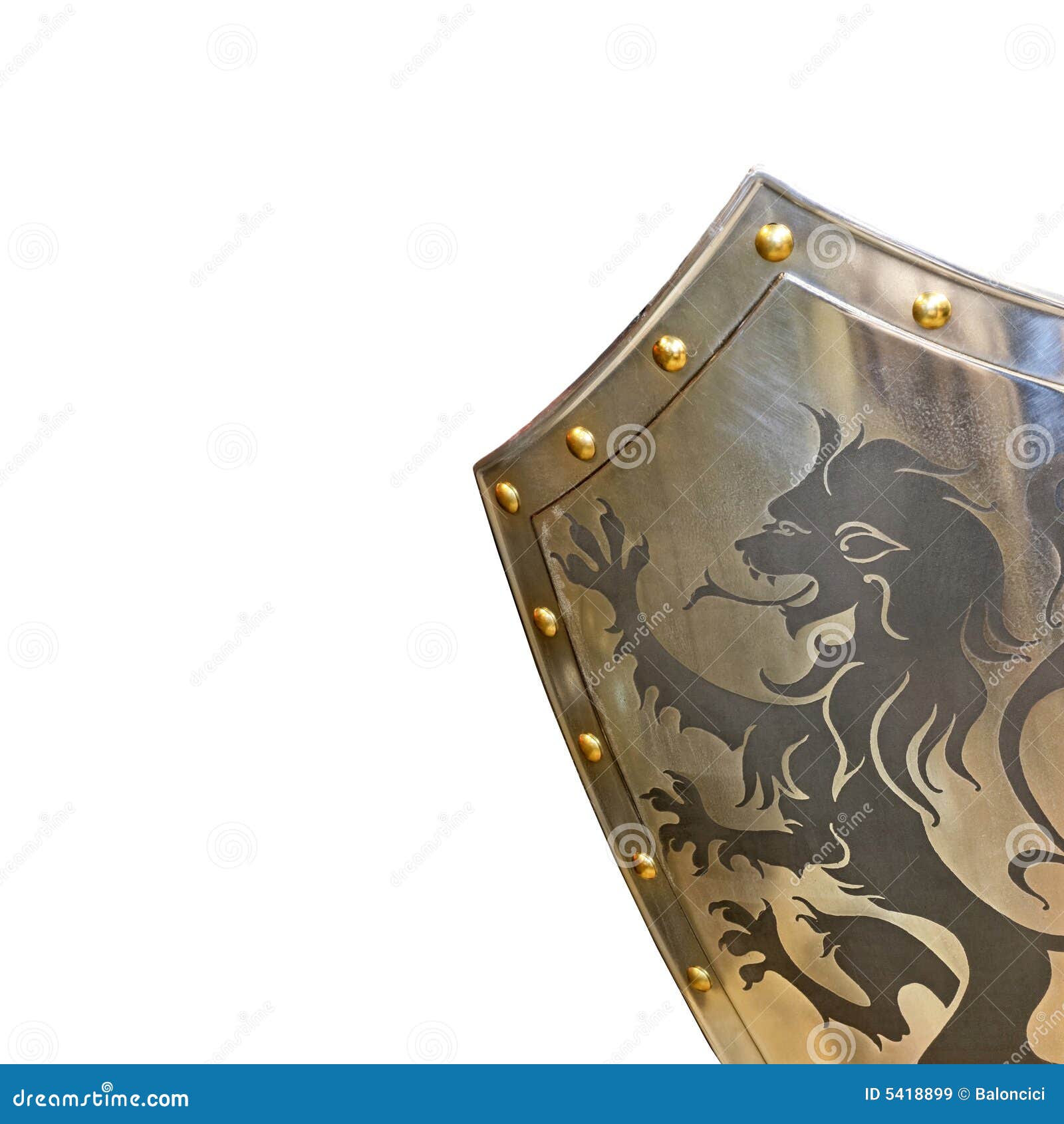 Armor shield stock image. Image of medieval, sign, decorated - 5418899