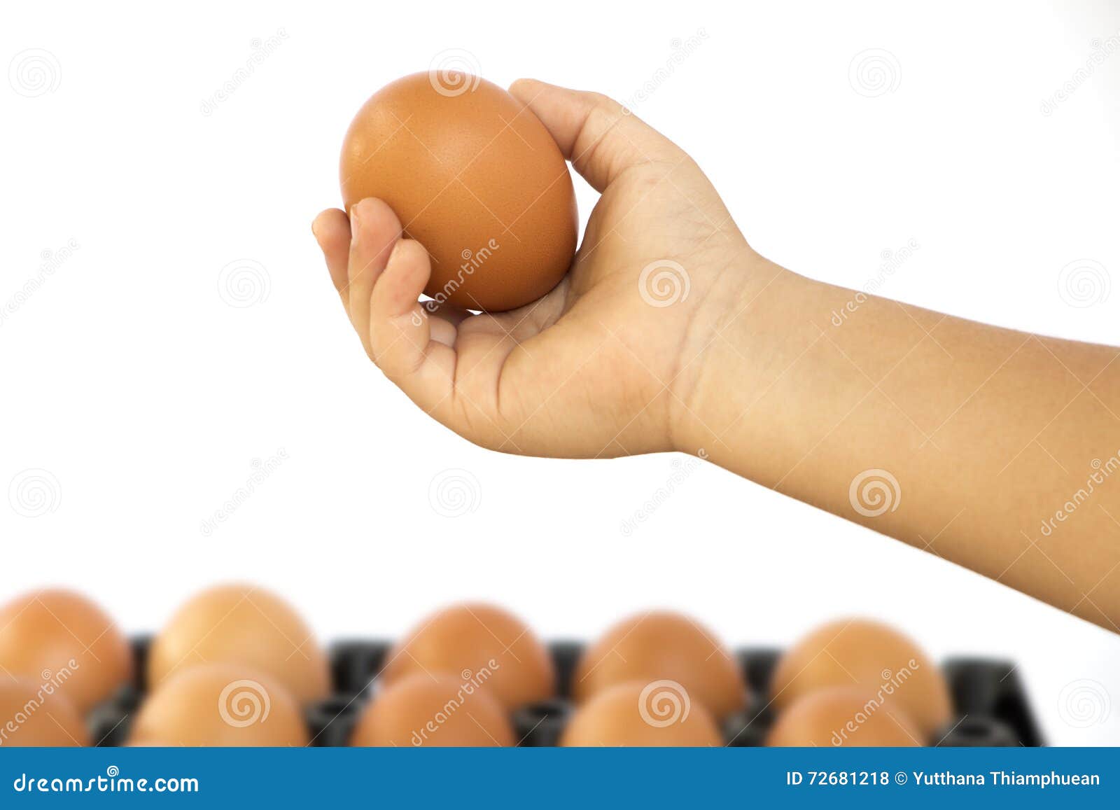 The Arms of the Boy, Catch Eggs Stock Photo - Image of drop, hold: 72681218