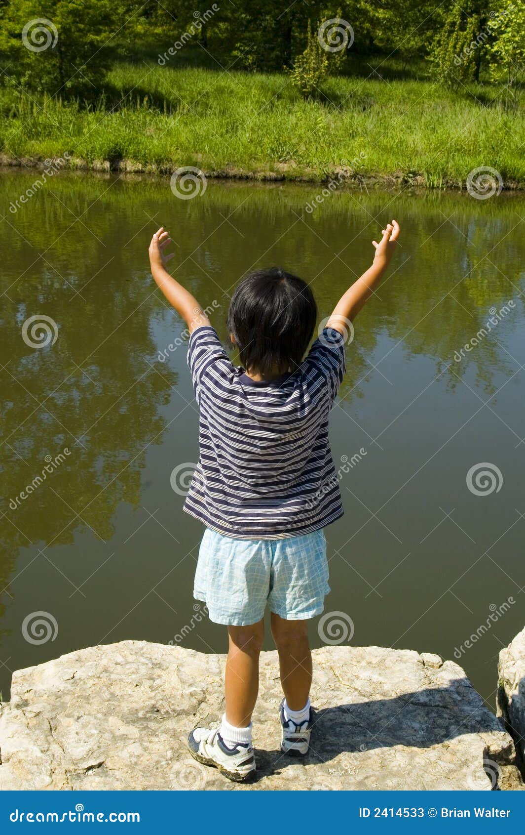 Arms Out stock image. Image of green, sunny, greenery - 2414533