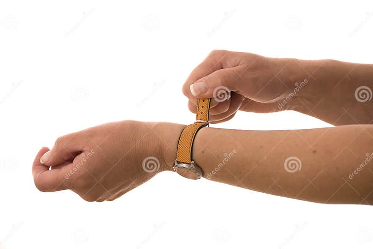 Arms with watch stock photo. Image of female, watch, strap - 3199074