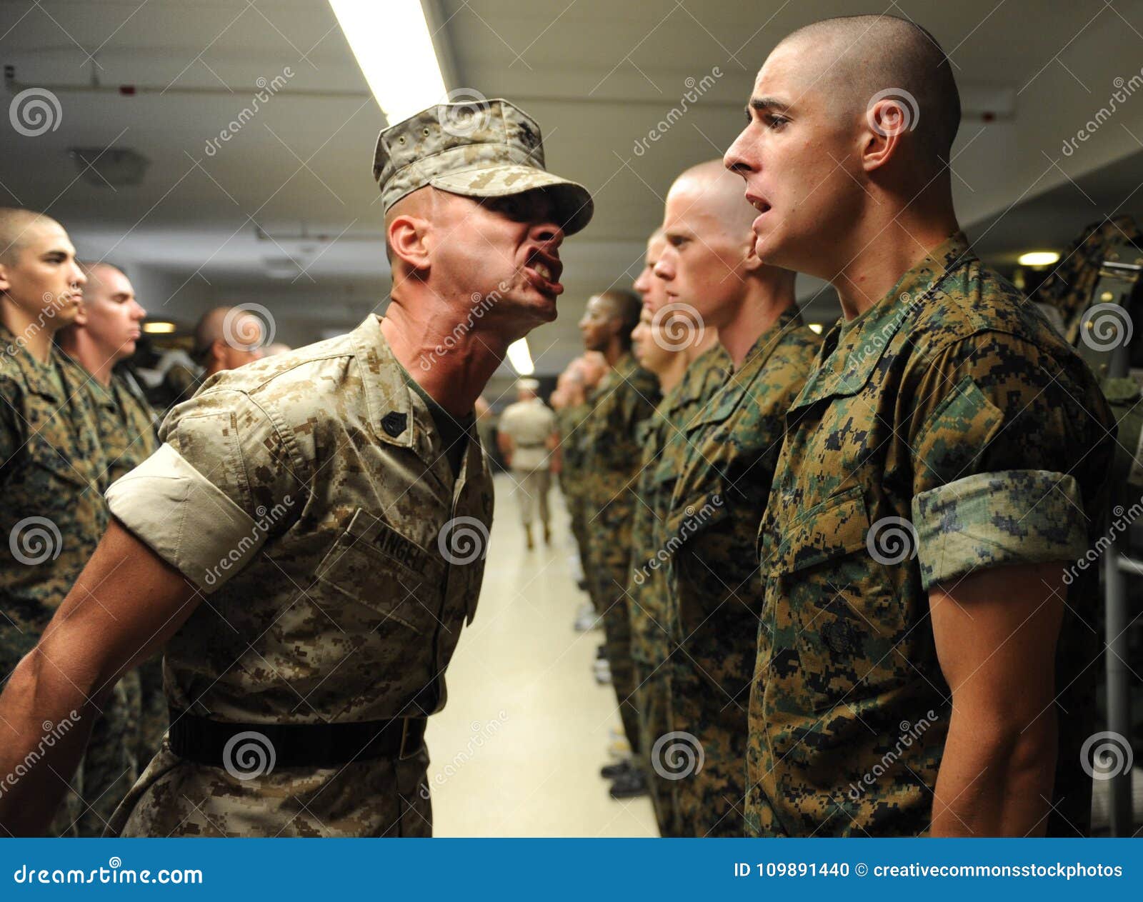 Army, Authority, Drill Picture. Image: 109891440