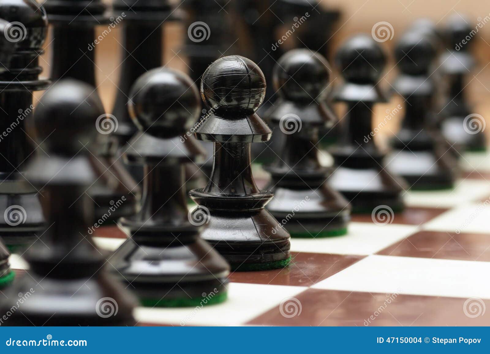Army of Chess stock photo. Image of conflict, piece, intelligence ...