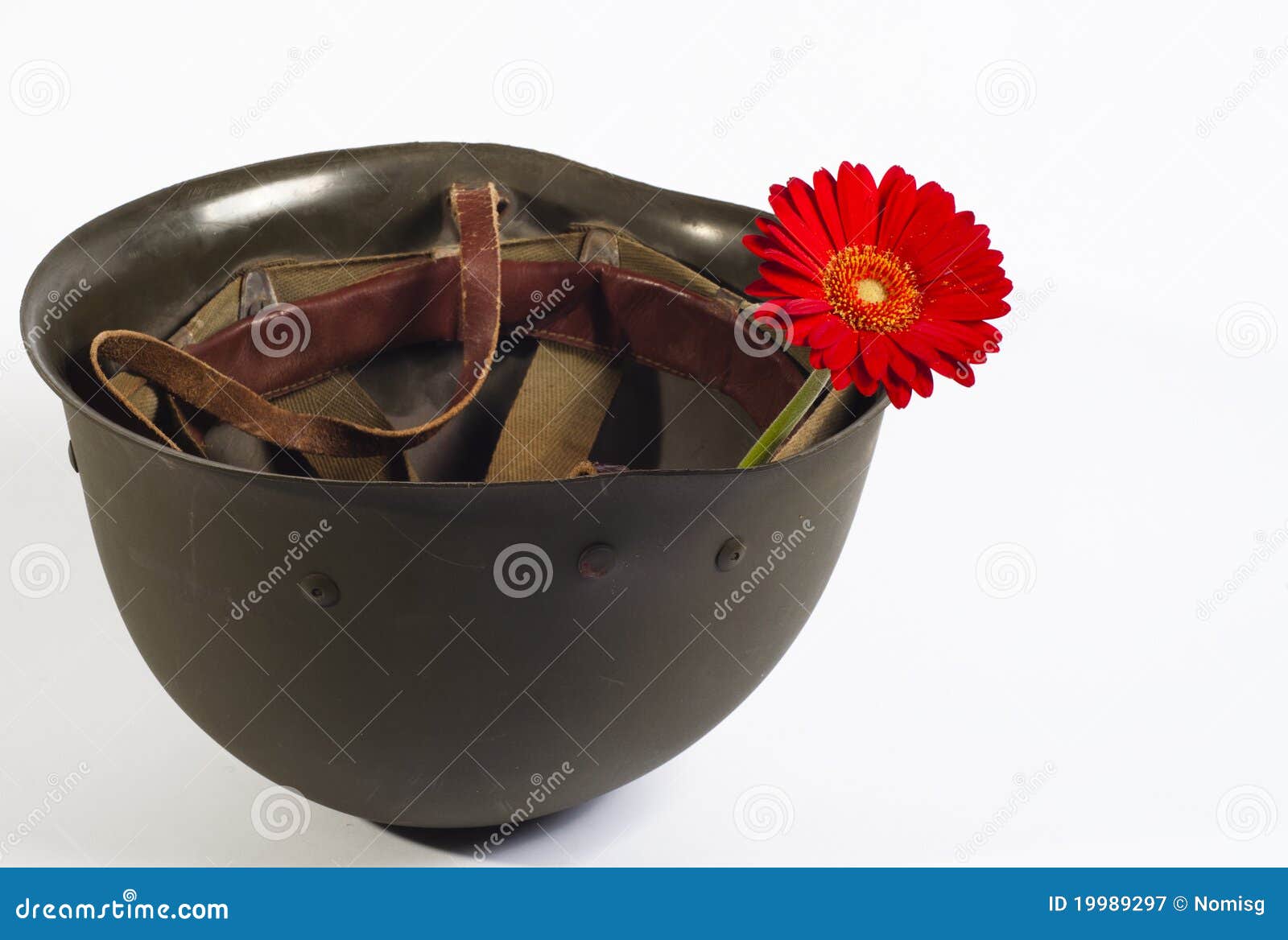 Army Helmet with red daisy stock image. Image of helmet - 19989297