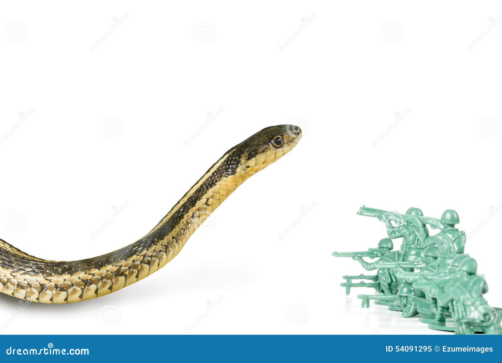 A Female Snake With Gun