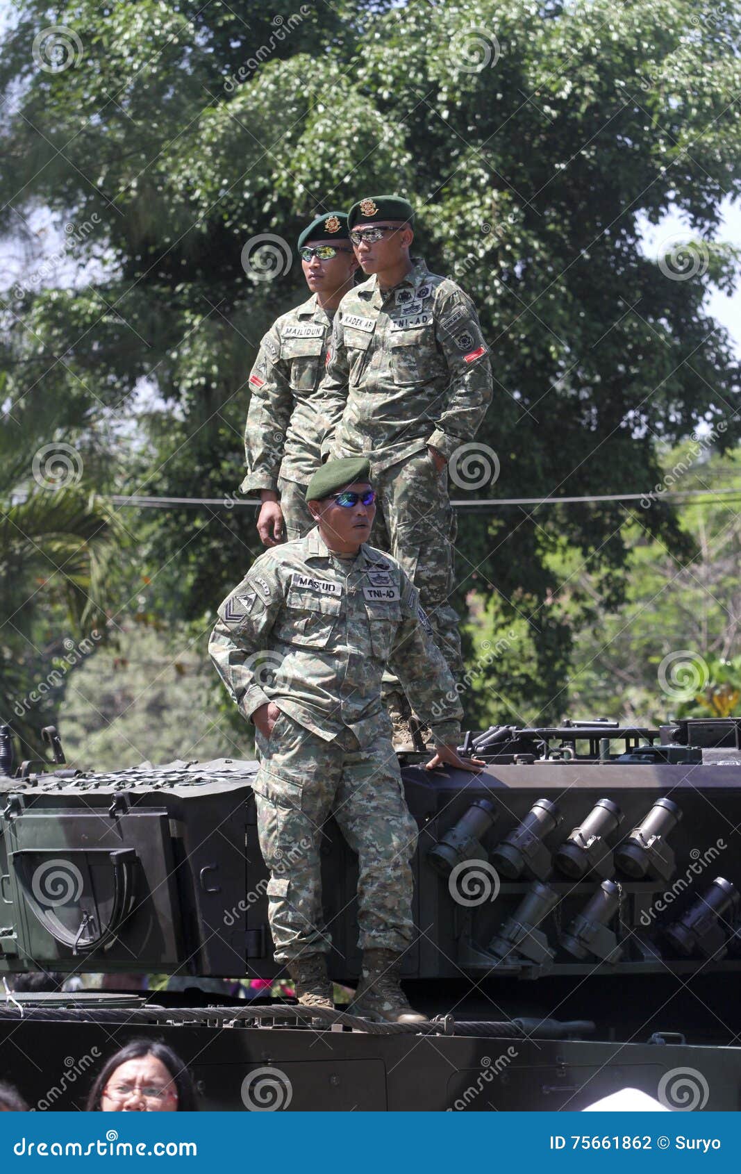 Army editorial photography. Image of organization, military - 75661862