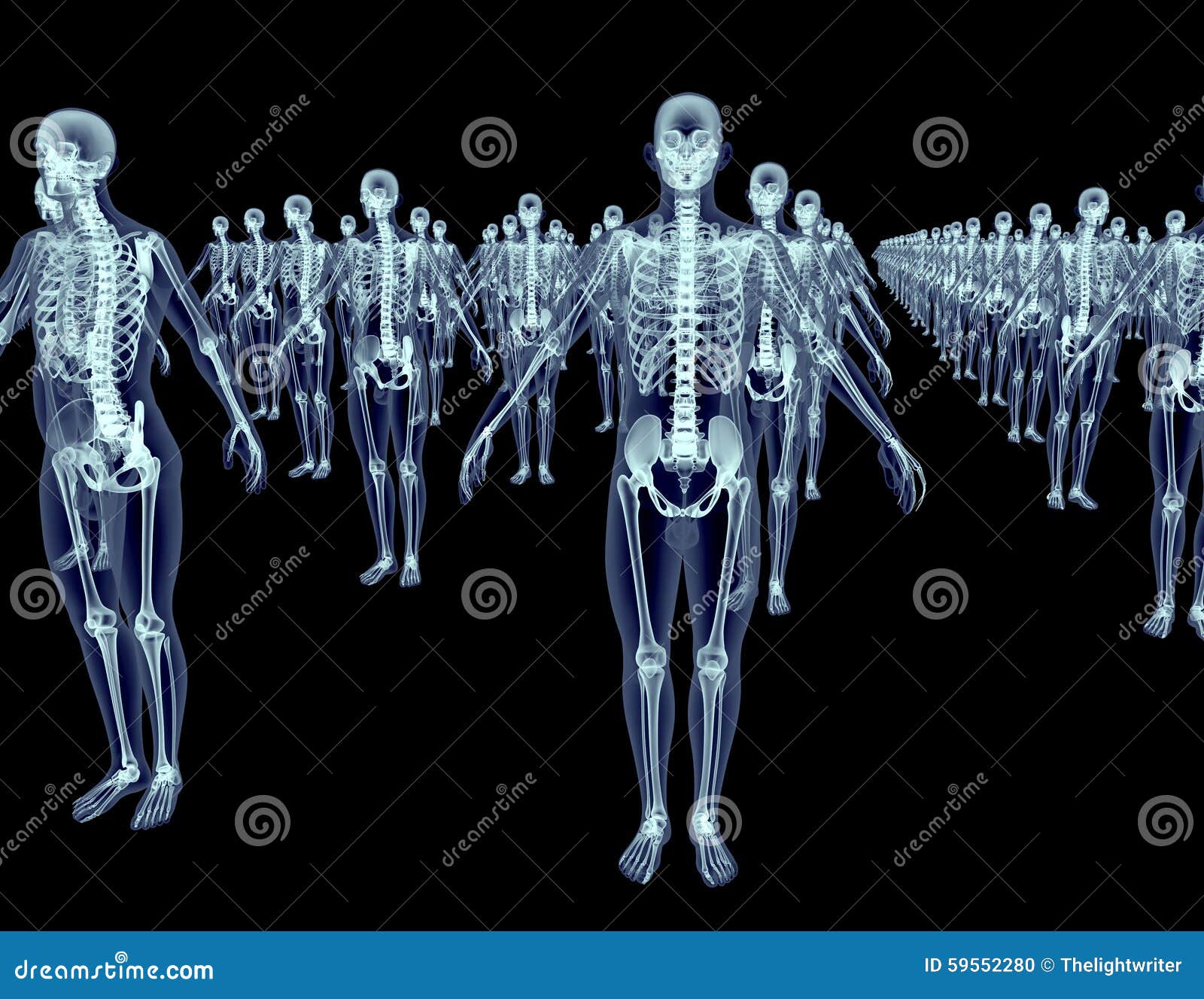 Army of Xray Skeletons Isolated on Black Stock Illustration ...