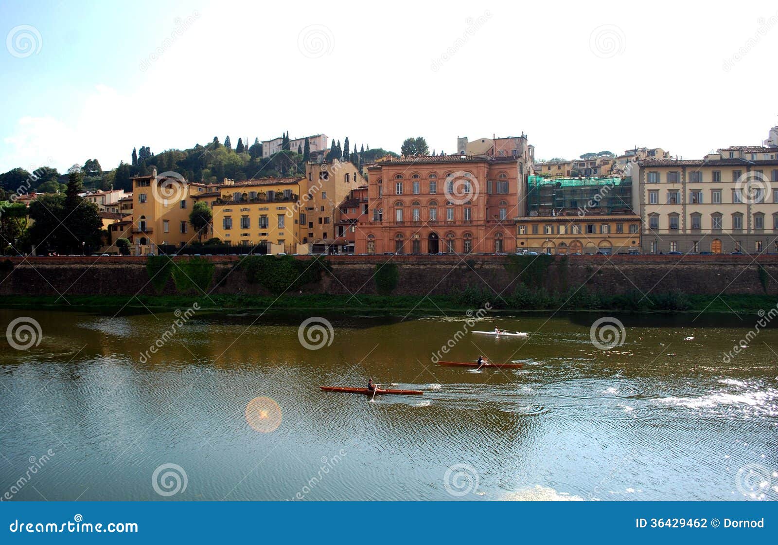 Arno river stock photo. Image of arno, tree, tuscany - 36429462