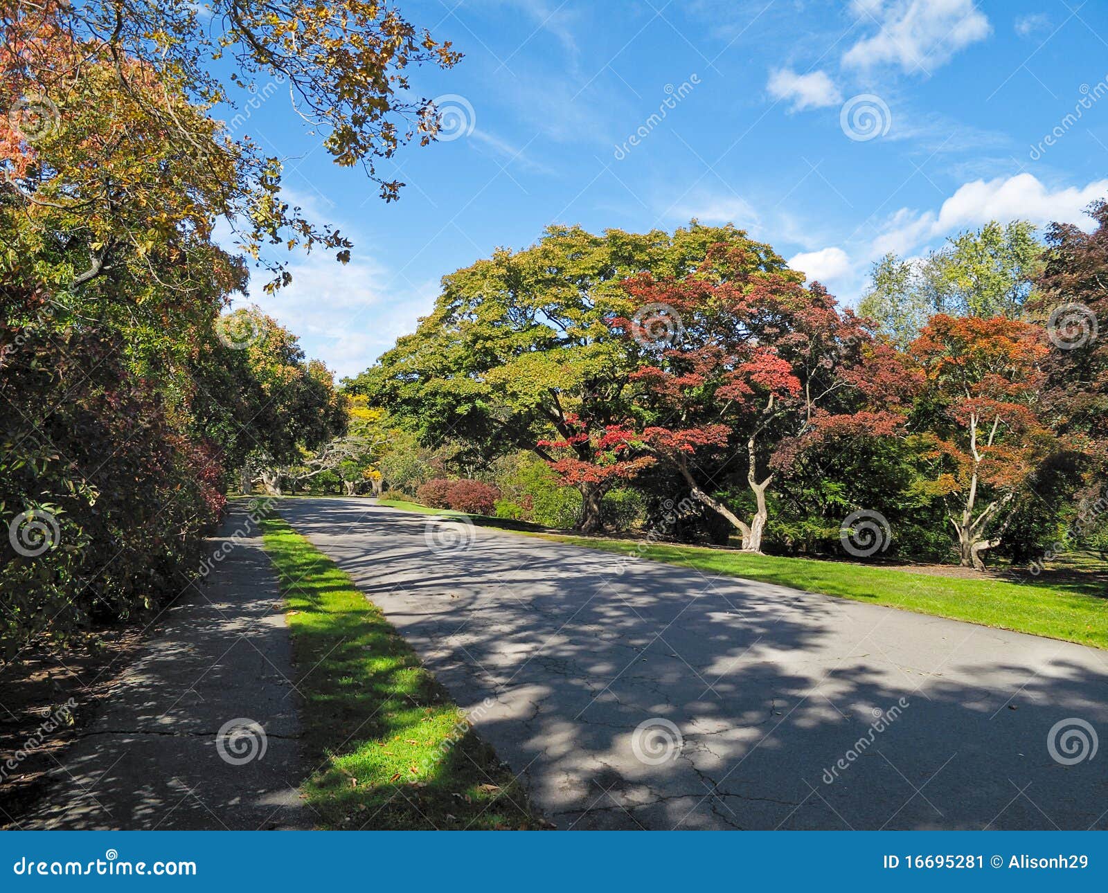Arnold Arboretum, Boston stock image. Image of colours - 16695281