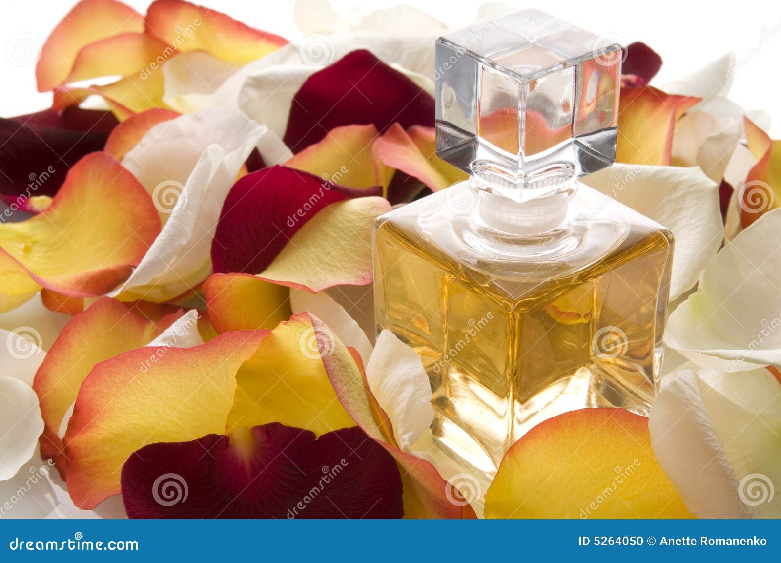 Aroma. stock photo. Image of petals, essential, floral - 5264050