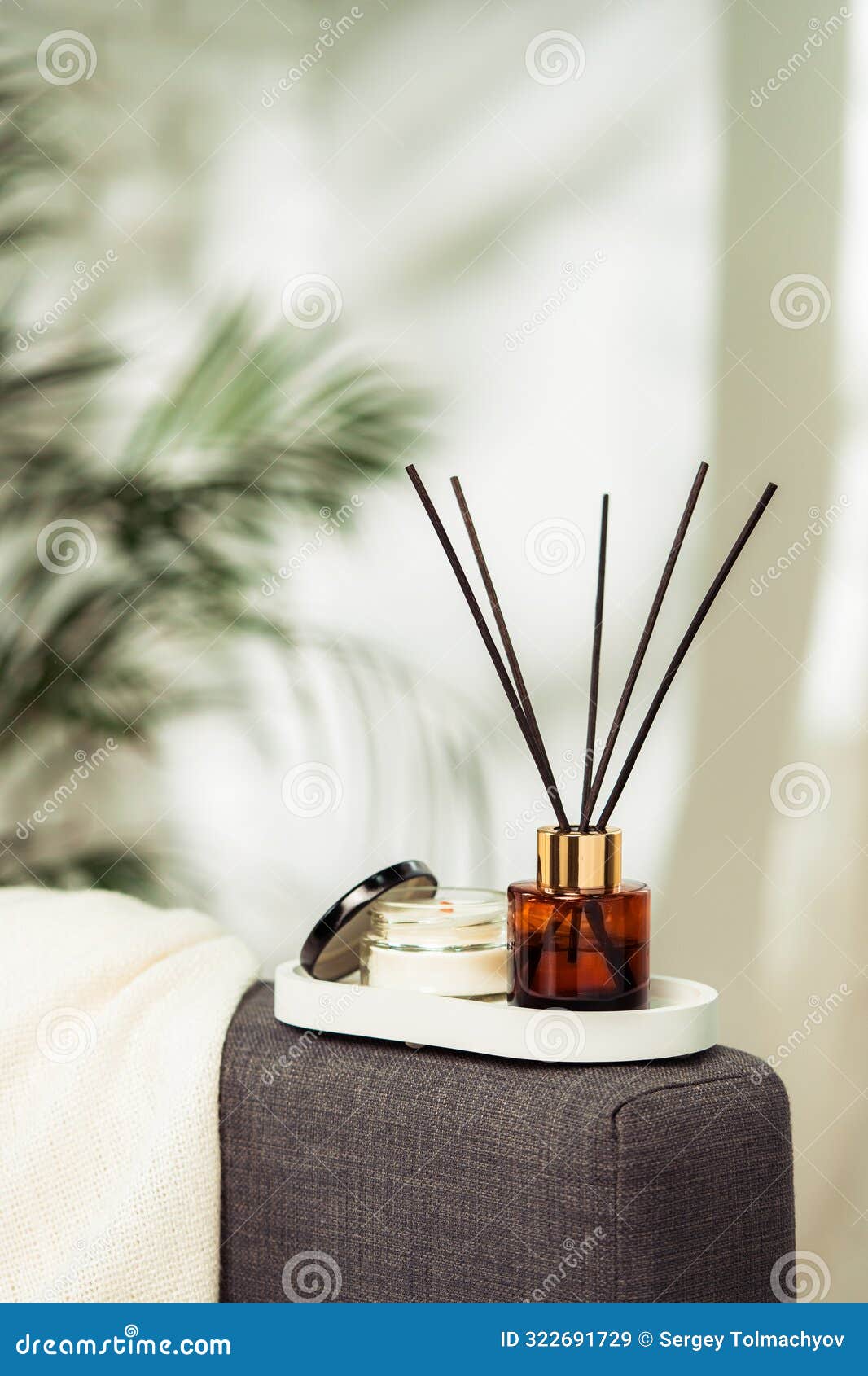 Aroma Diffuser Bottle with Sticks in Living Room, Close Up Stock Image ...