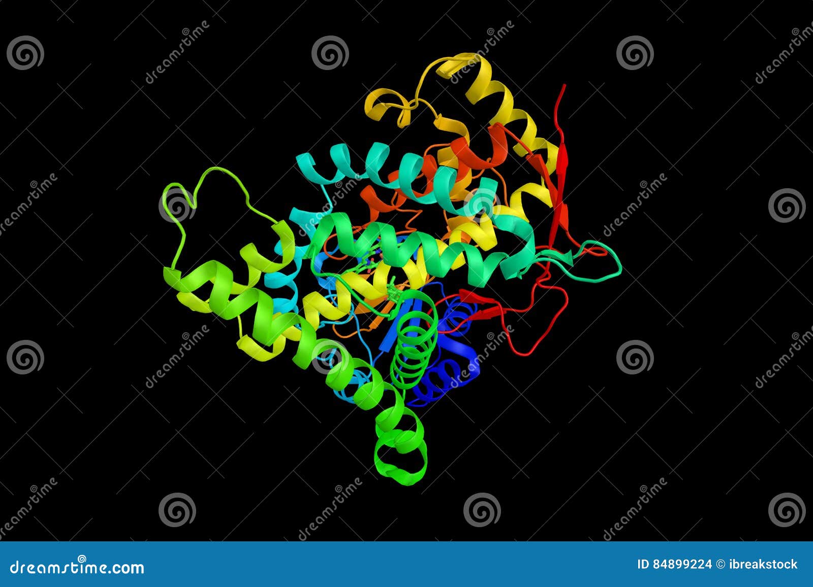 Aromatase (estrogen Synthase), an Enzyme Responsible for a Key S Stock ...